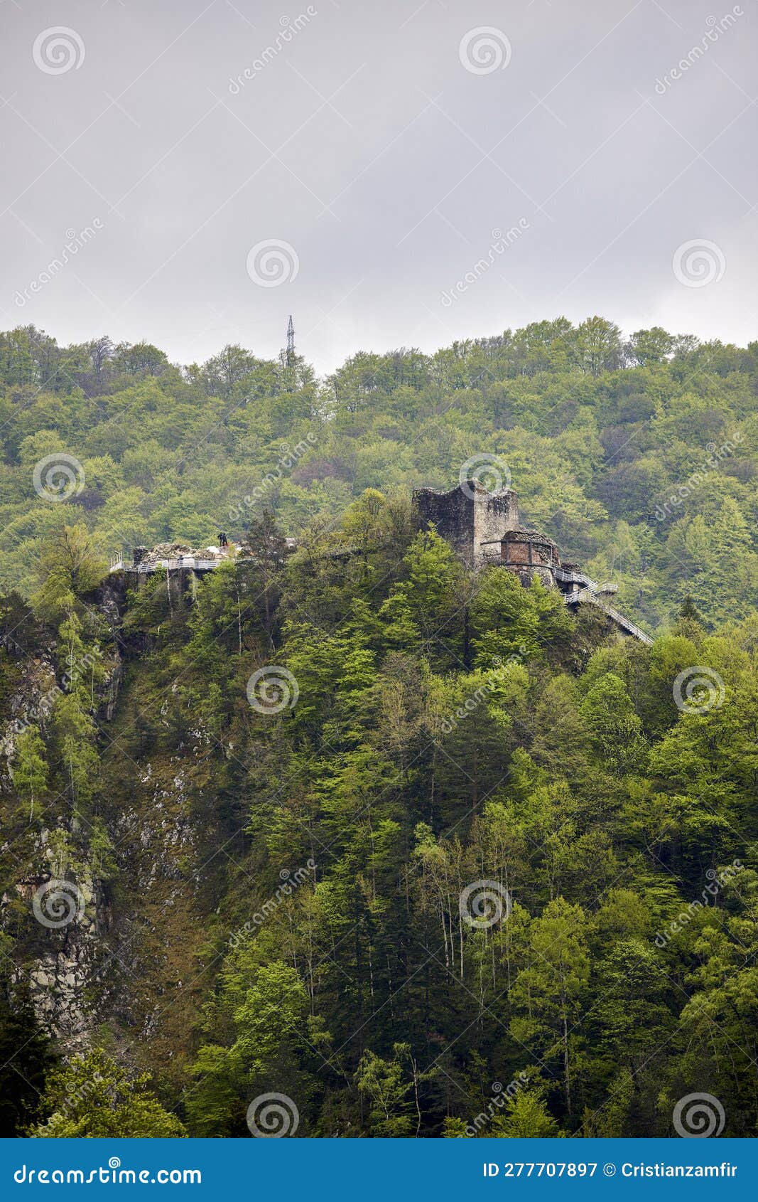 Landscape with the Medieval Fortress Poienari Stock Image - Image of ...