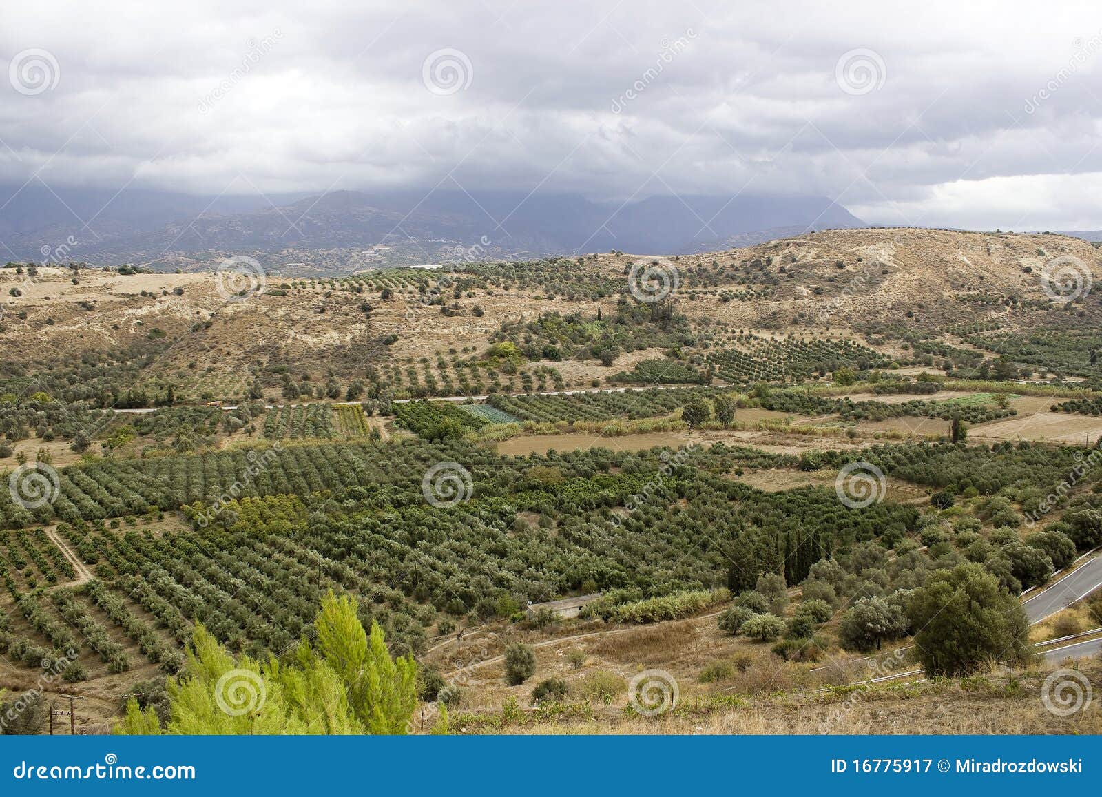 Landscape of Messara Valley Stock Image - Image of scenic, grove: 16775917