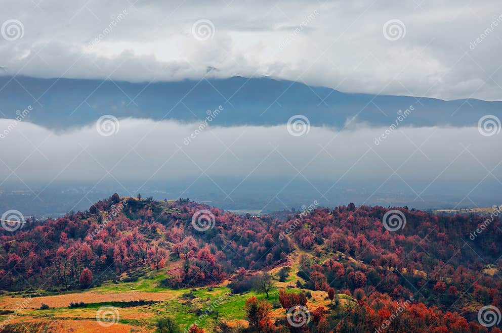 Landscape of Mist Around Forest Stock Image - Image of colorful ...