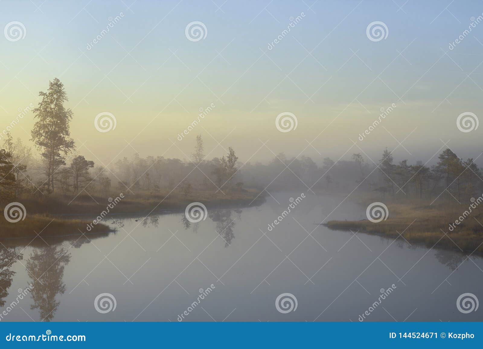Landscape with Misty Morning in the Forest Lake Stock Image - Image of ...