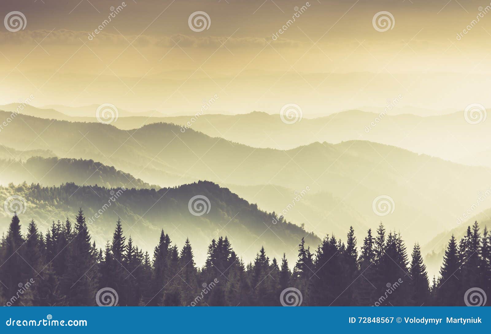 Landscape of Misty Mountain in Forests Hills. Stock Image - Image of ...