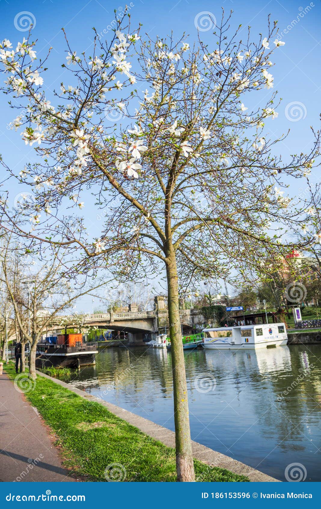 Landscape in Timisoara at the Springtime, Romania Stock Photo - Image ...