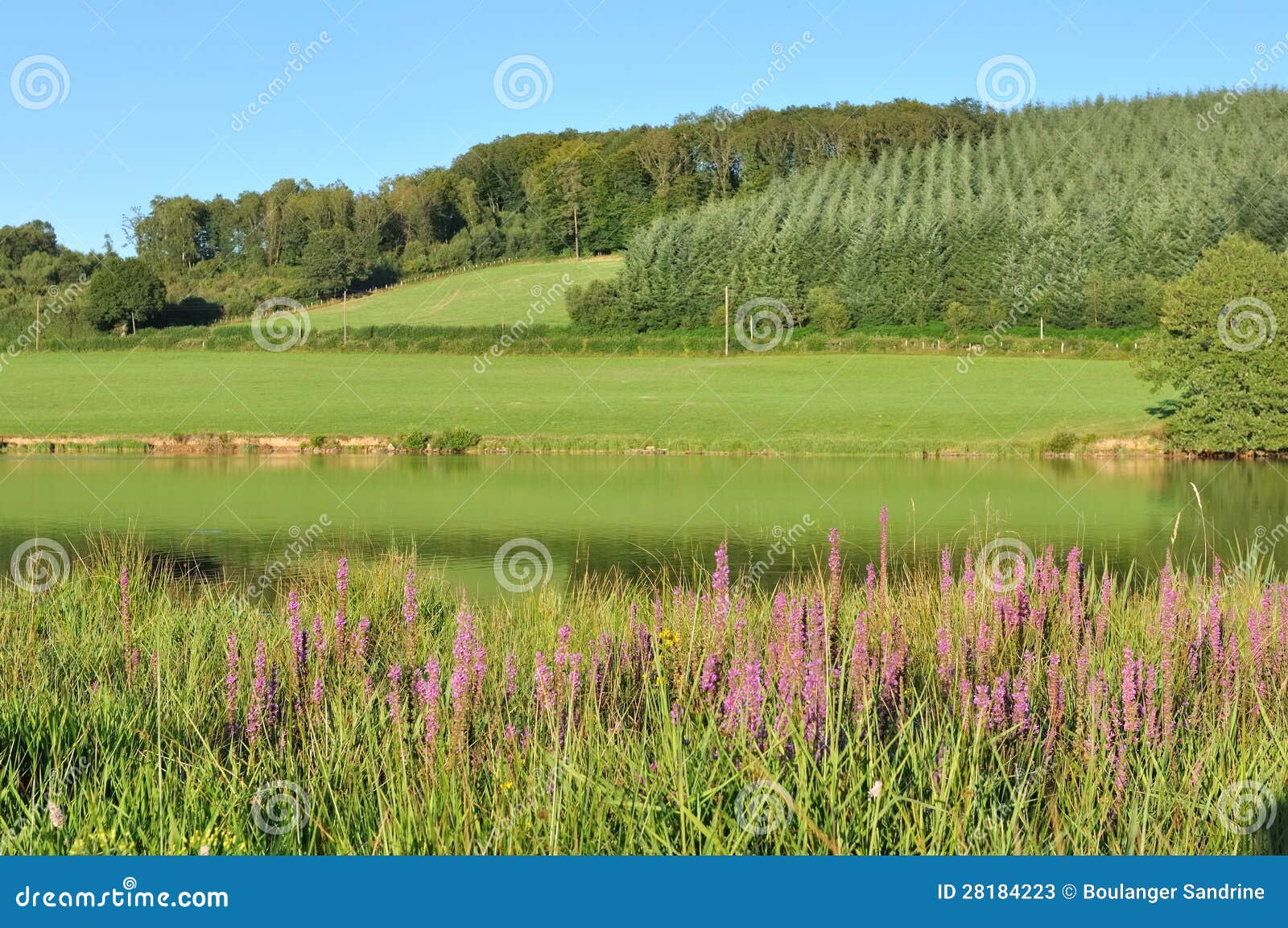 Landscape Morvan (France) stock image. Image of reflection - 28184223