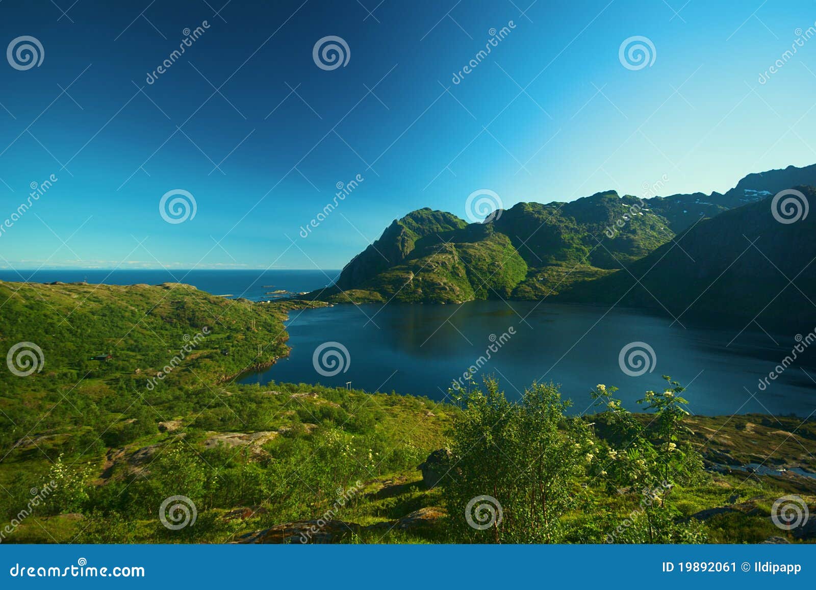 Landscape on Moskenesoya, Lofoten, Norway Stock Image - Image of green ...