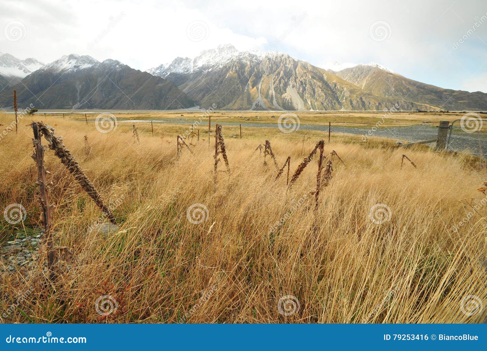 Landscape of Mount Cook Track Stock Photo - Image of peak, glacier ...