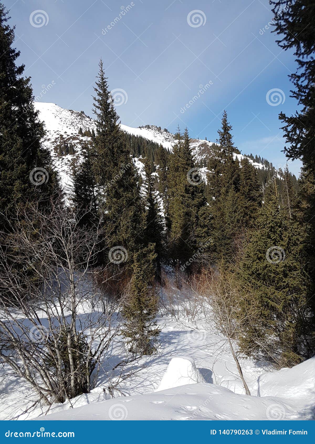 The Beginning of Spring in the Mountains. Stock Image - Image of white ...