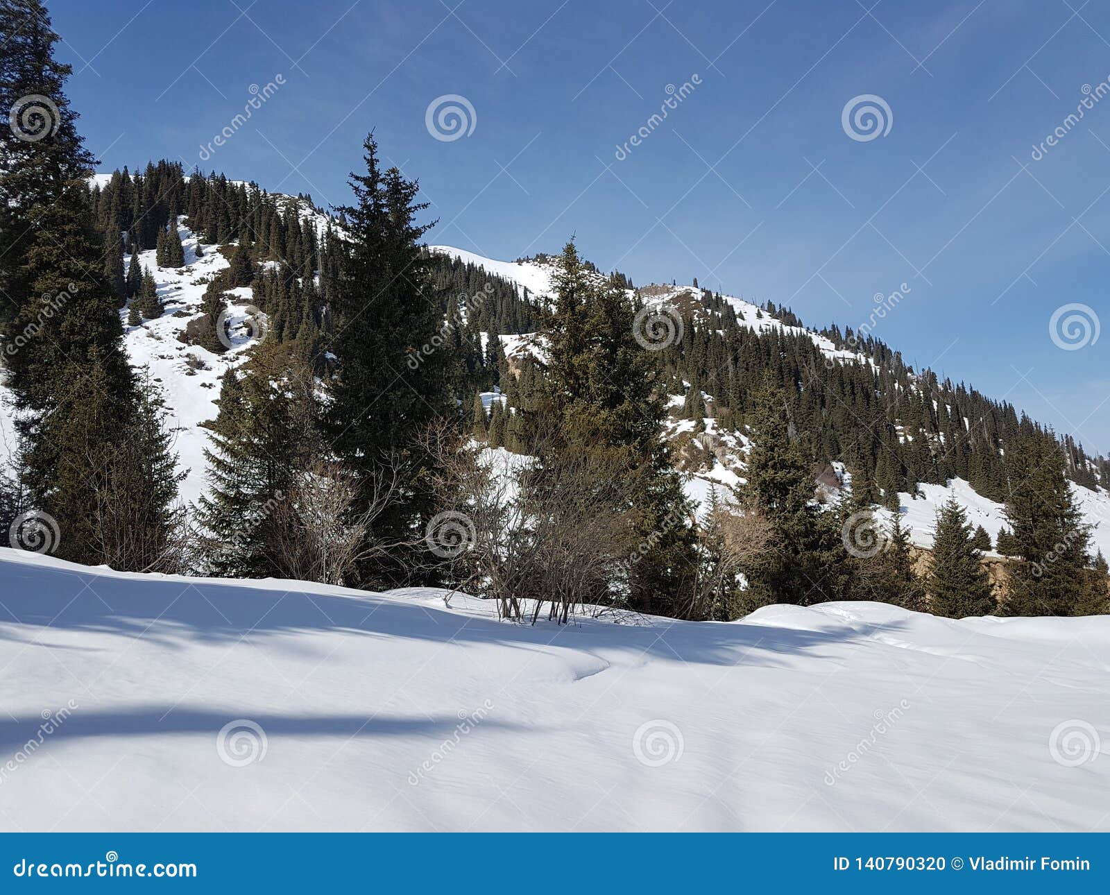 The Beginning of Spring in the Mountains. Stock Photo - Image of ...
