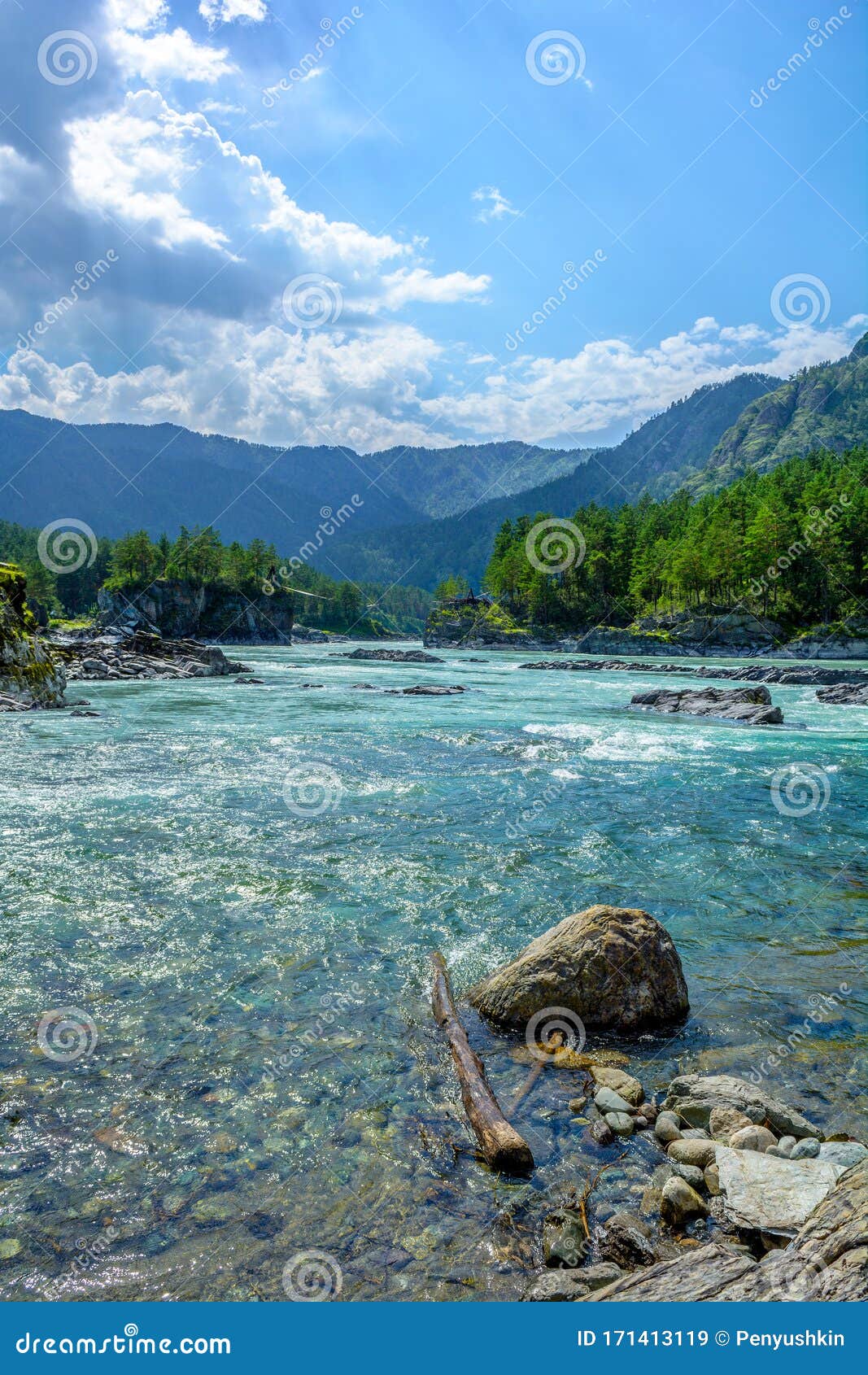 Landscape of a Mountain River Flowing among Rocks and Trees Stock Image ...