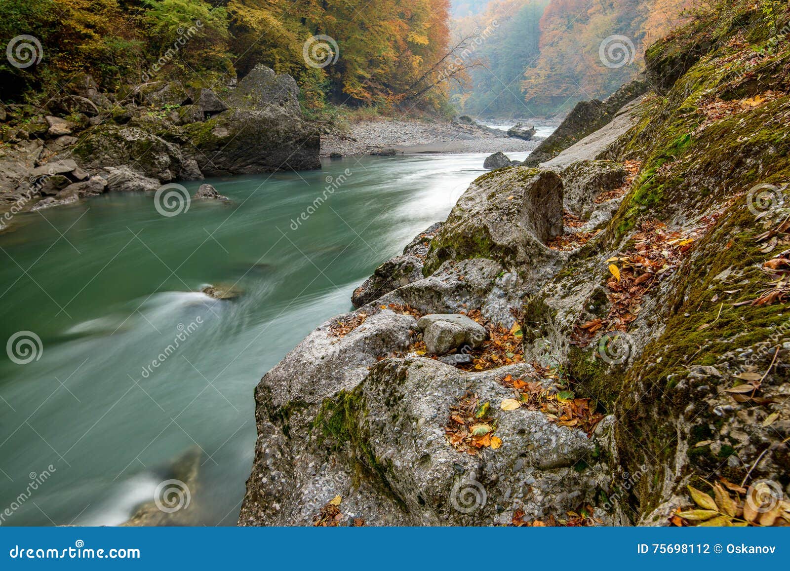 Landscape with Mountain River and Forest Stock Photo - Image of fall ...