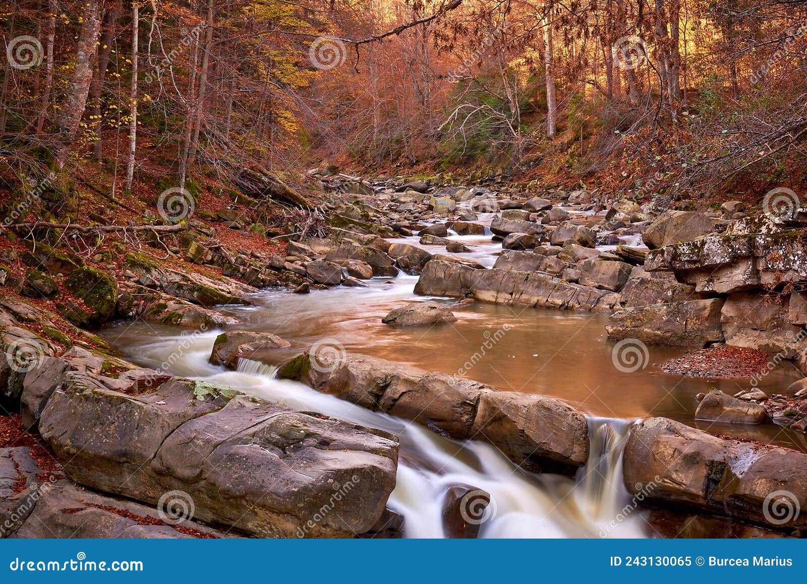 Landscape on a Mountain River Stock Image - Image of scenic ...