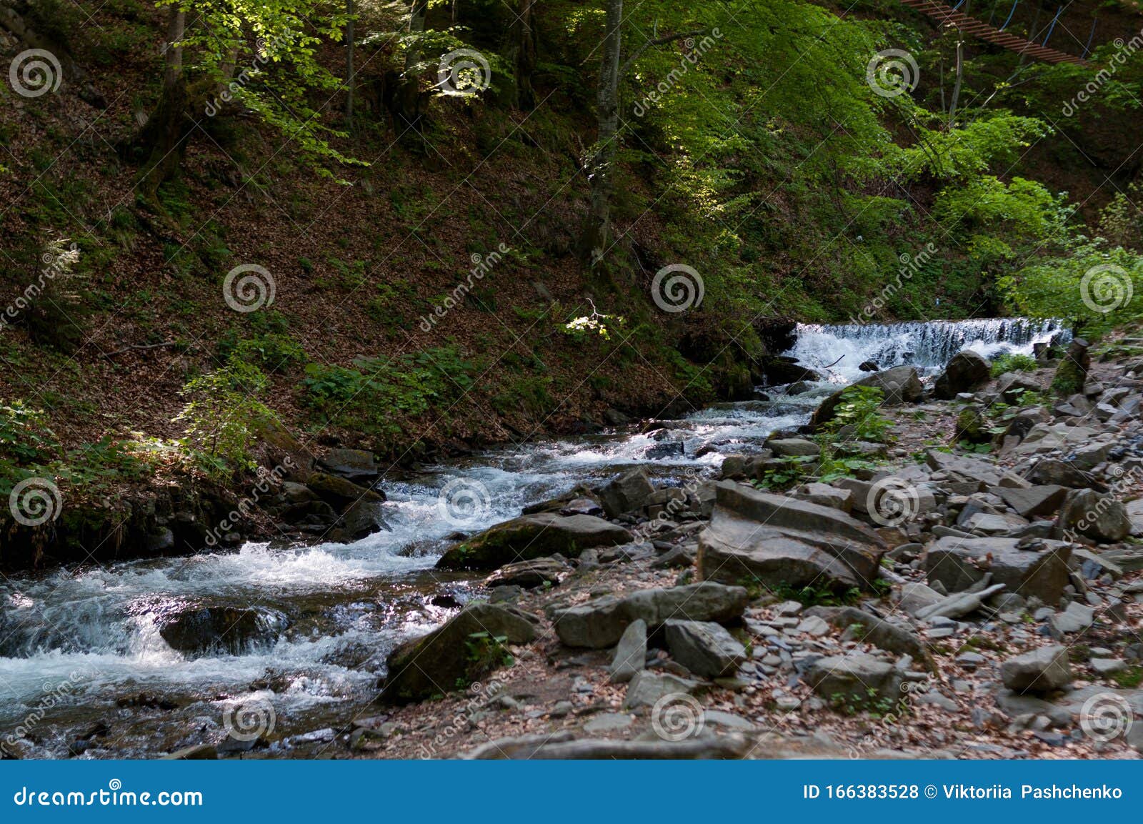 Landscape of Mountain River with Rocks and Stones among Green Trees in ...