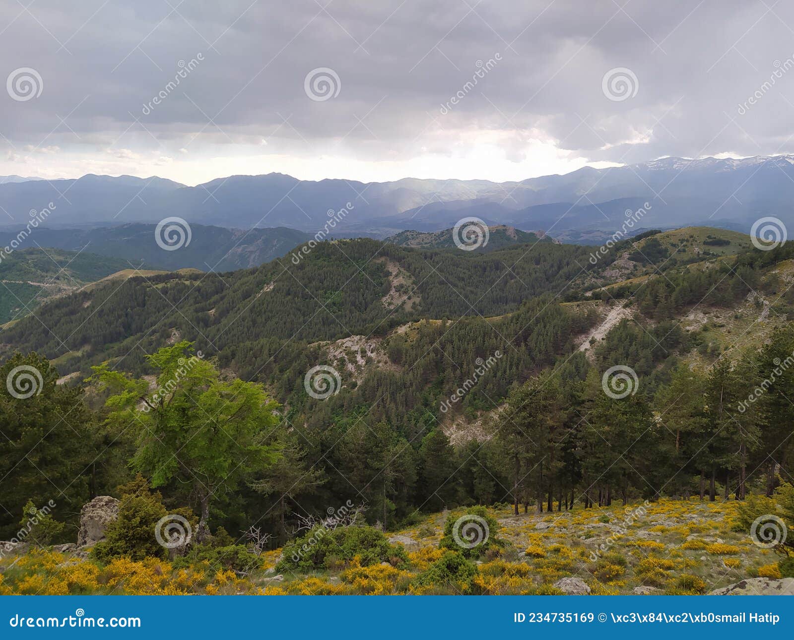 Landscape of Mountains with Forest on Front Stock Image - Image of ...