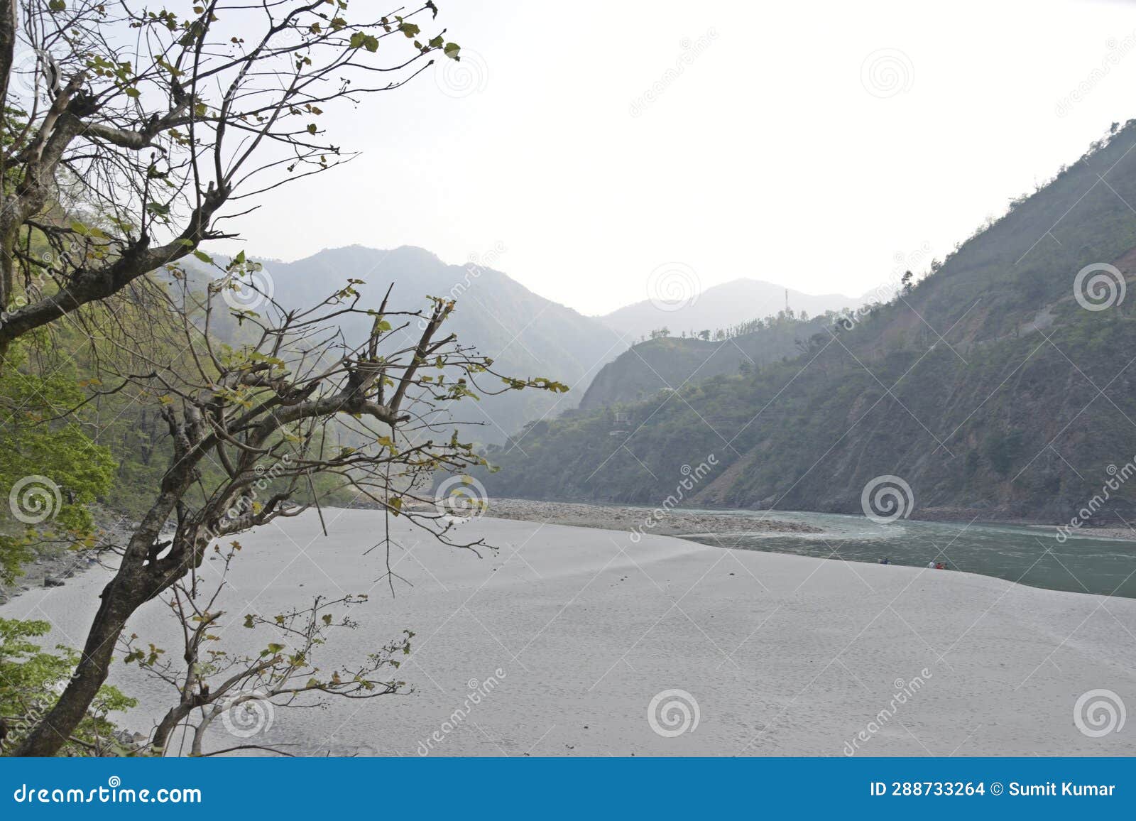 Landscape with Mountain and a River Stock Photo - Image of tree ...