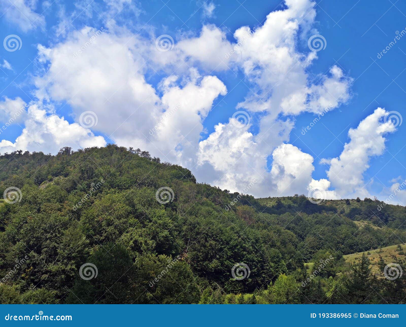 Landscape in the Mountains - Lapusului Gorges - Cheile Lapusului Stock ...