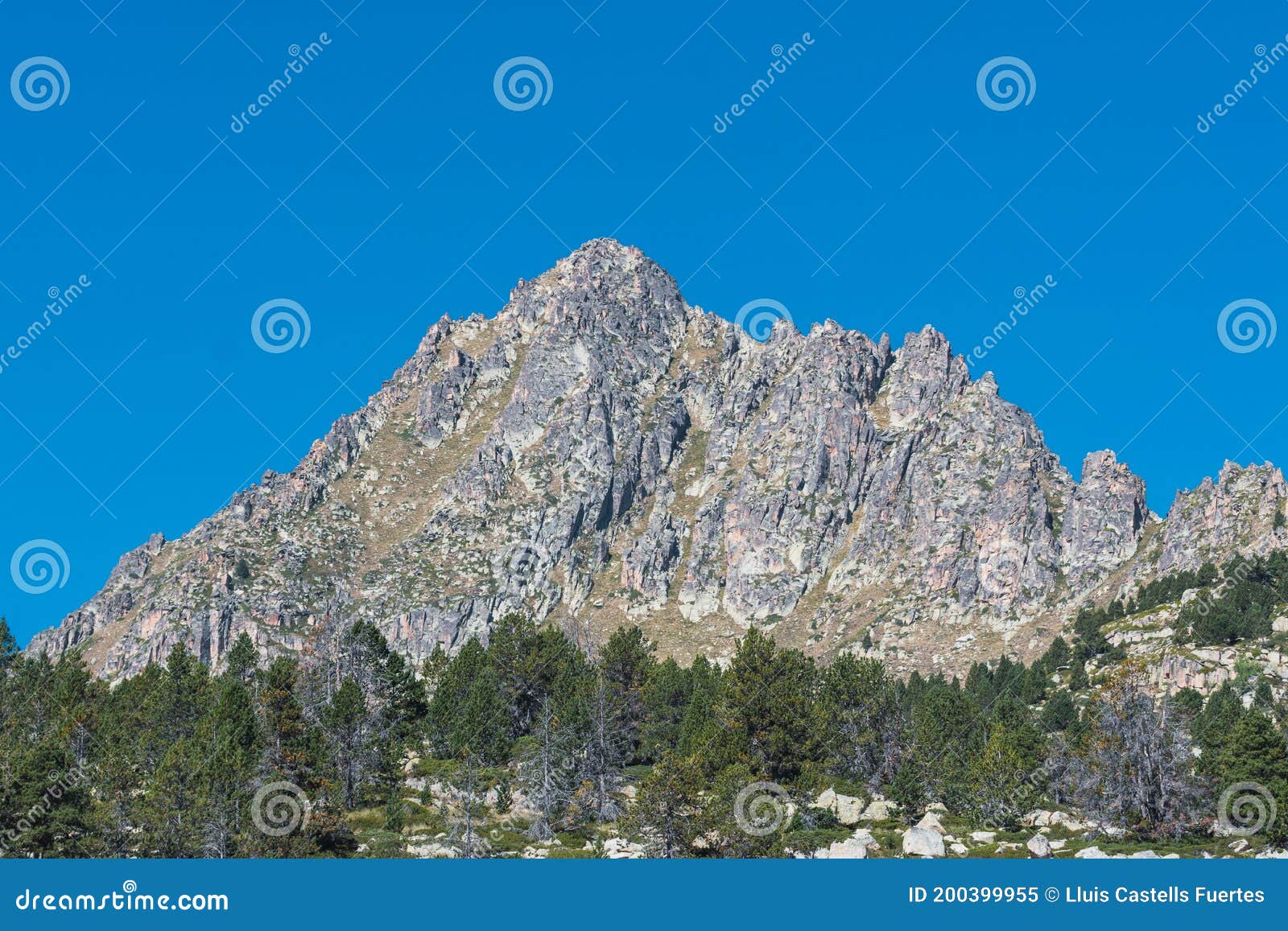 Landscape of Pyrenees Mountains with Trees and a Very Large Rock in the ...