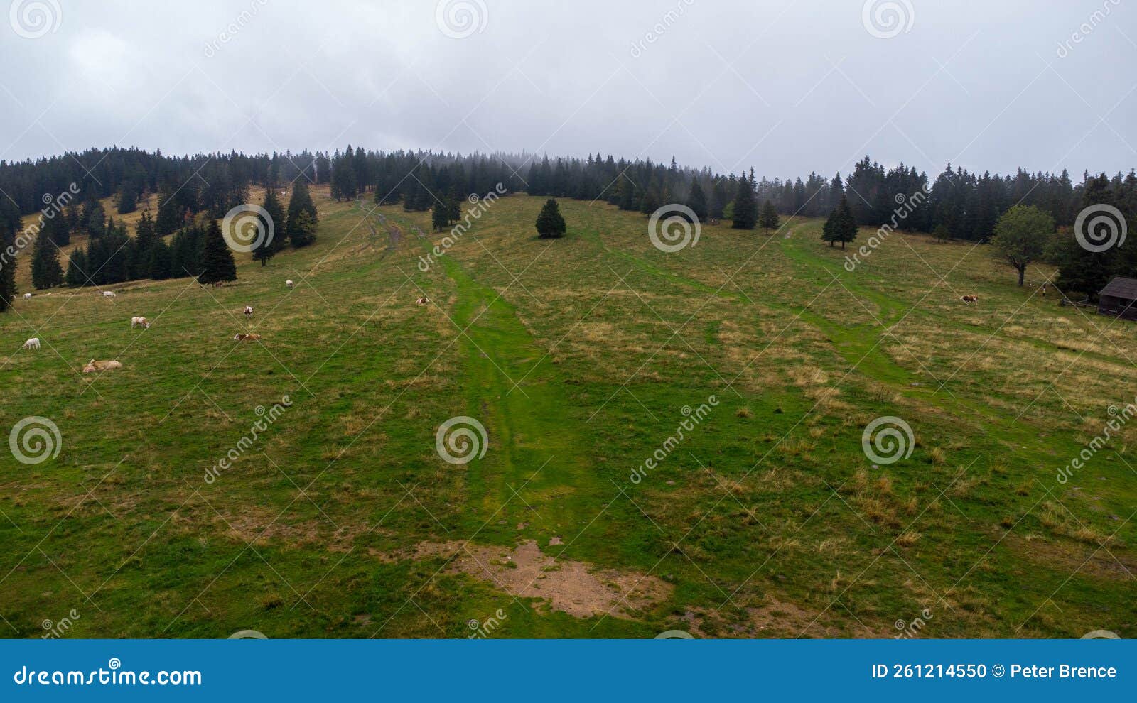 Landscape in the Mountains, Rogla Stock Photo - Image of prairie ...