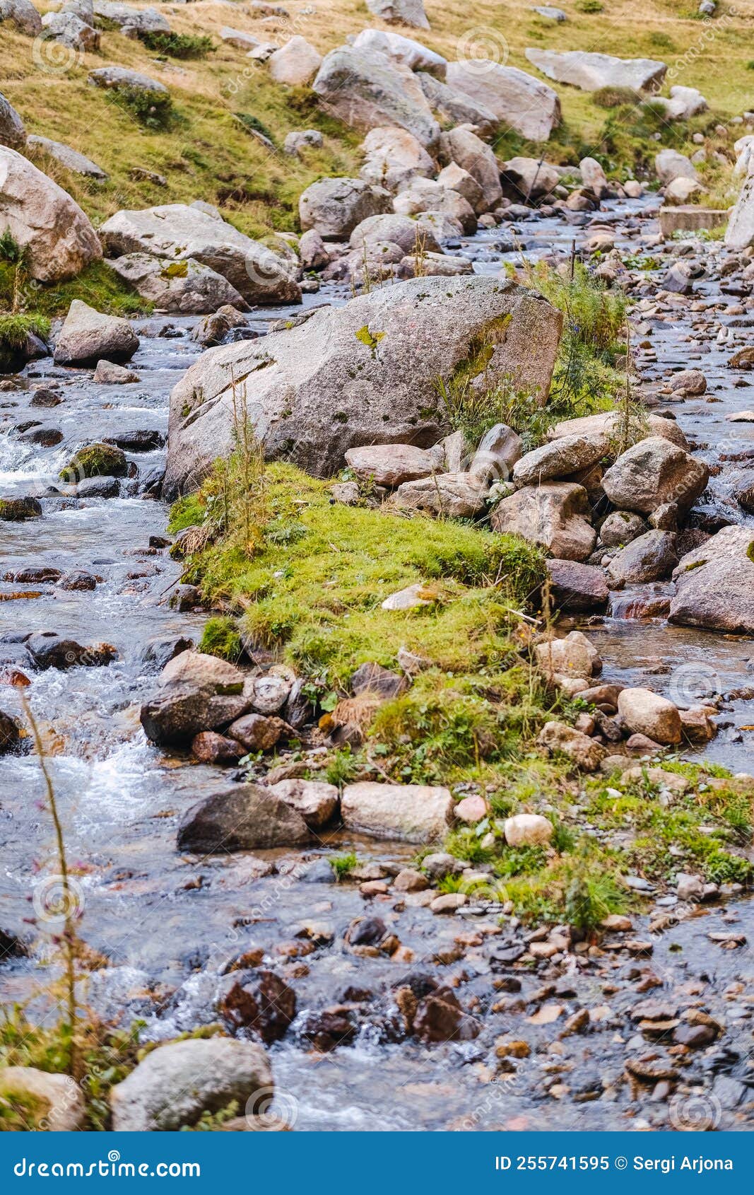 Landscape with Mountains and a Stream in the Foreground Stock Image ...