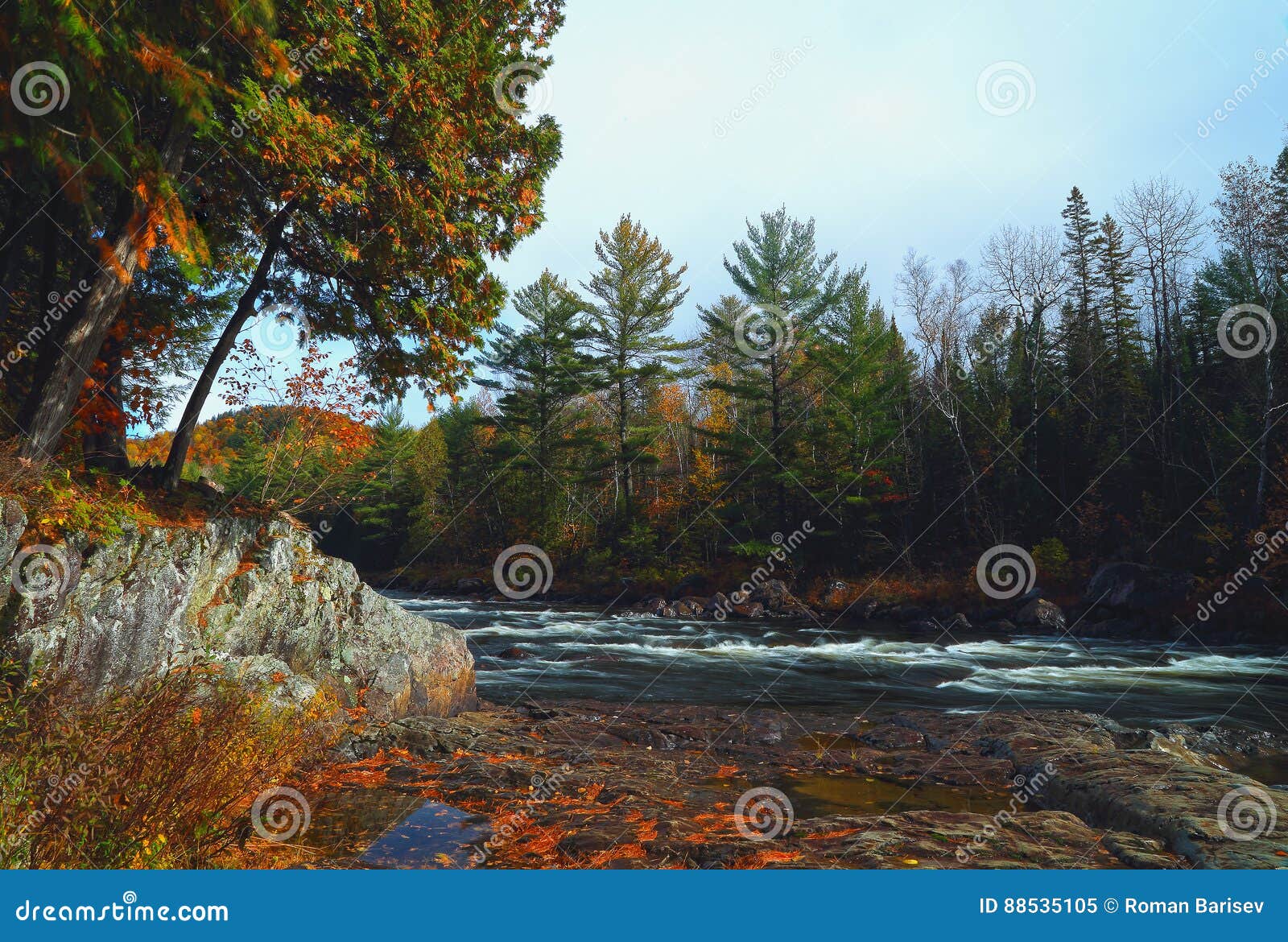 Landscape with Mountains Trees and a River in Front. Stock Image ...