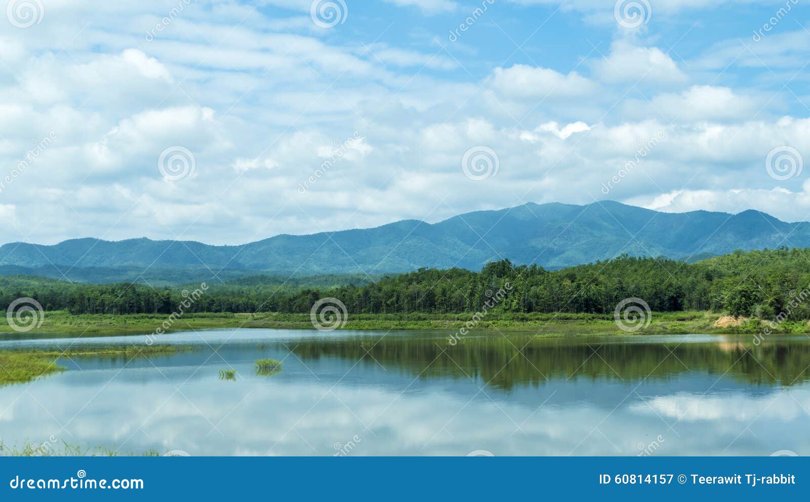 Landscape with Mountains Trees and a River in Front Stock Image - Image ...