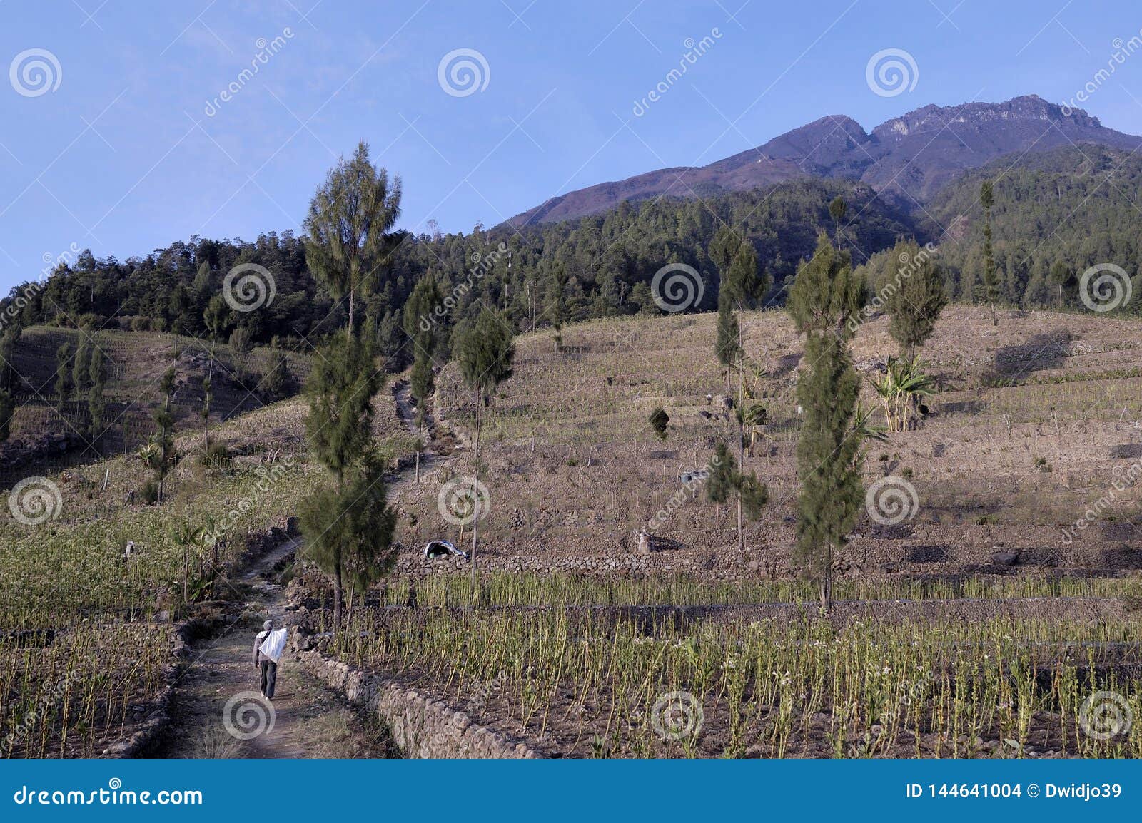 Landscape of Mt. Sumbing, Central Java, Indonesia in the Morning Stock ...