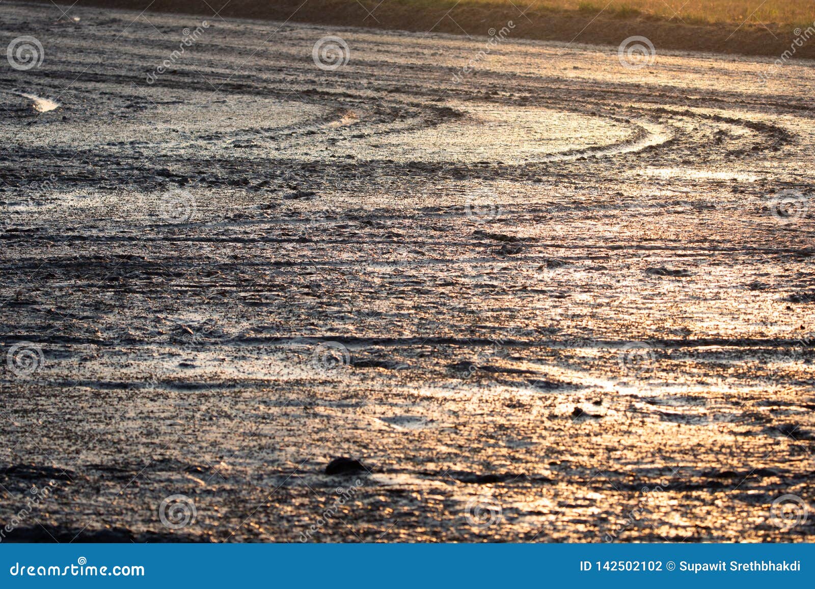 Landscape of Mud in Rice Paddy Field with Natural Sunlight. Stock Photo ...