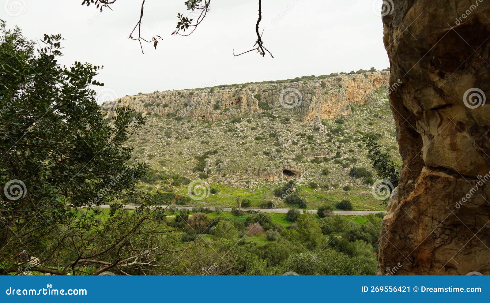 Landscape in Nahal (creek) Oren, at the West Side of Mount Carmel Stock ...