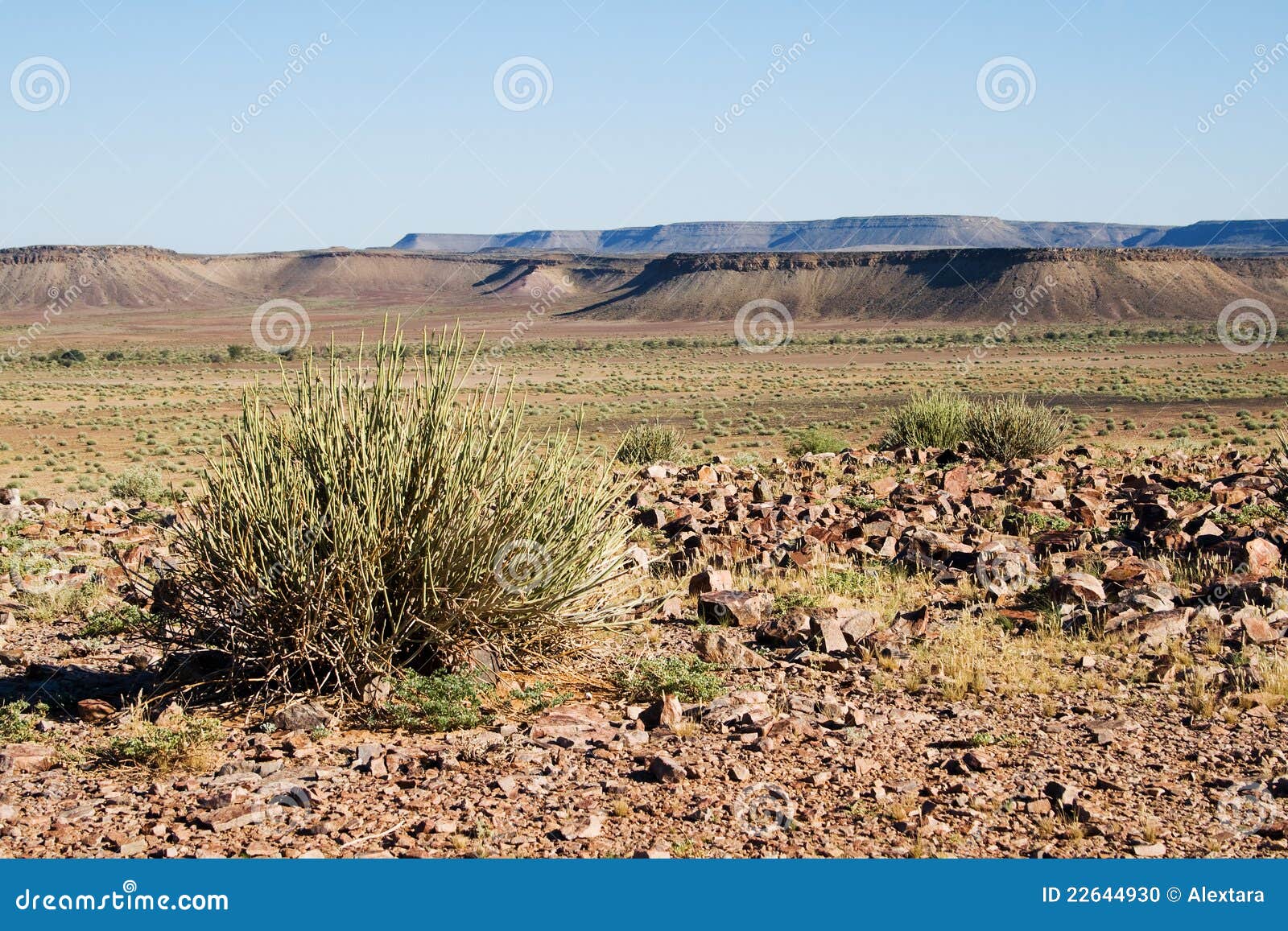 Landscape in Namibia stock photo. Image of nature, namibia - 22644930