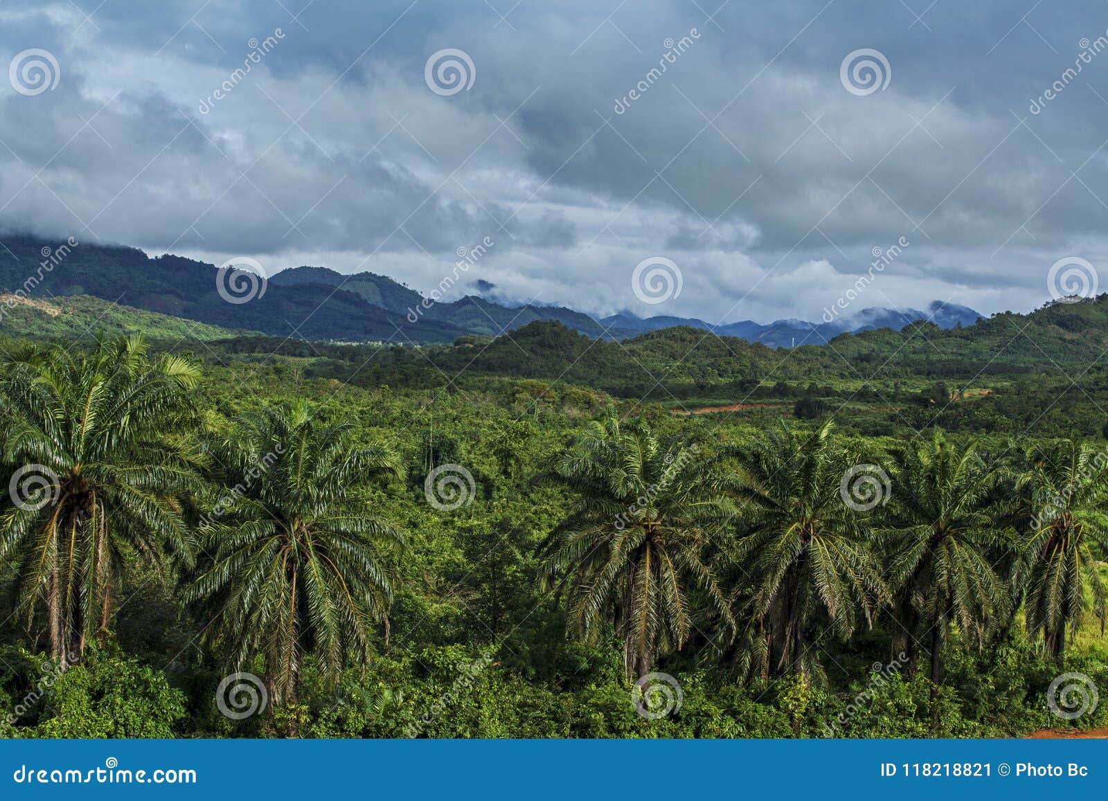 Dawei Summer Stock Photos - Free & Royalty-Free Stock Photos from ...