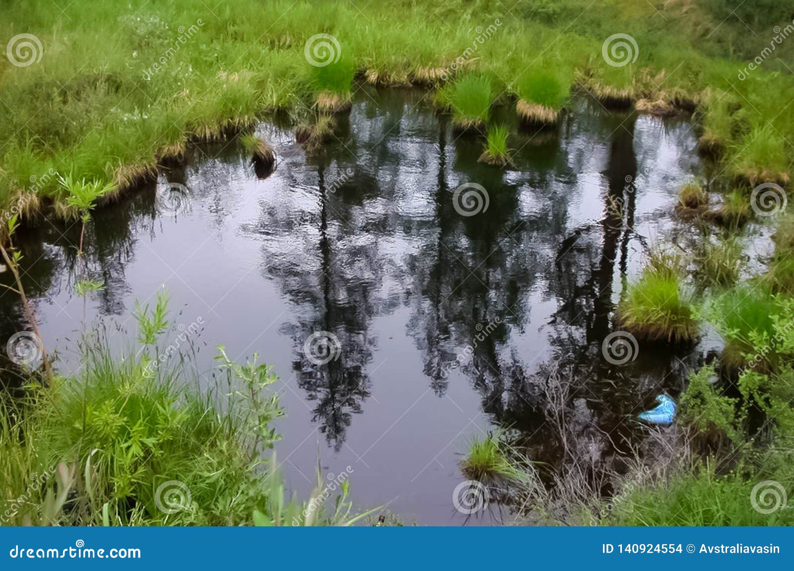 Landscape Nature Of Chukotka, Forest Tundra And Tundra Stock Photo ...