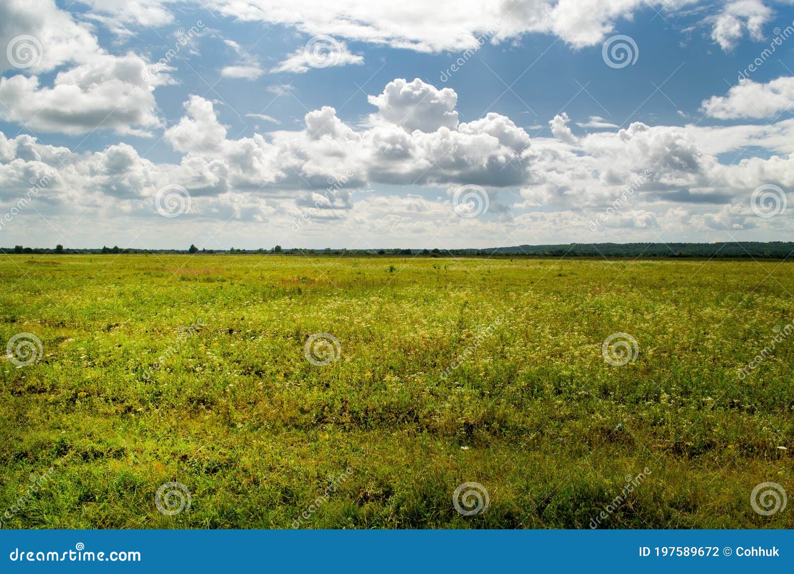 Beautiful Field Landscape, Grass and Dramatic Clouds. Stock Photo ...