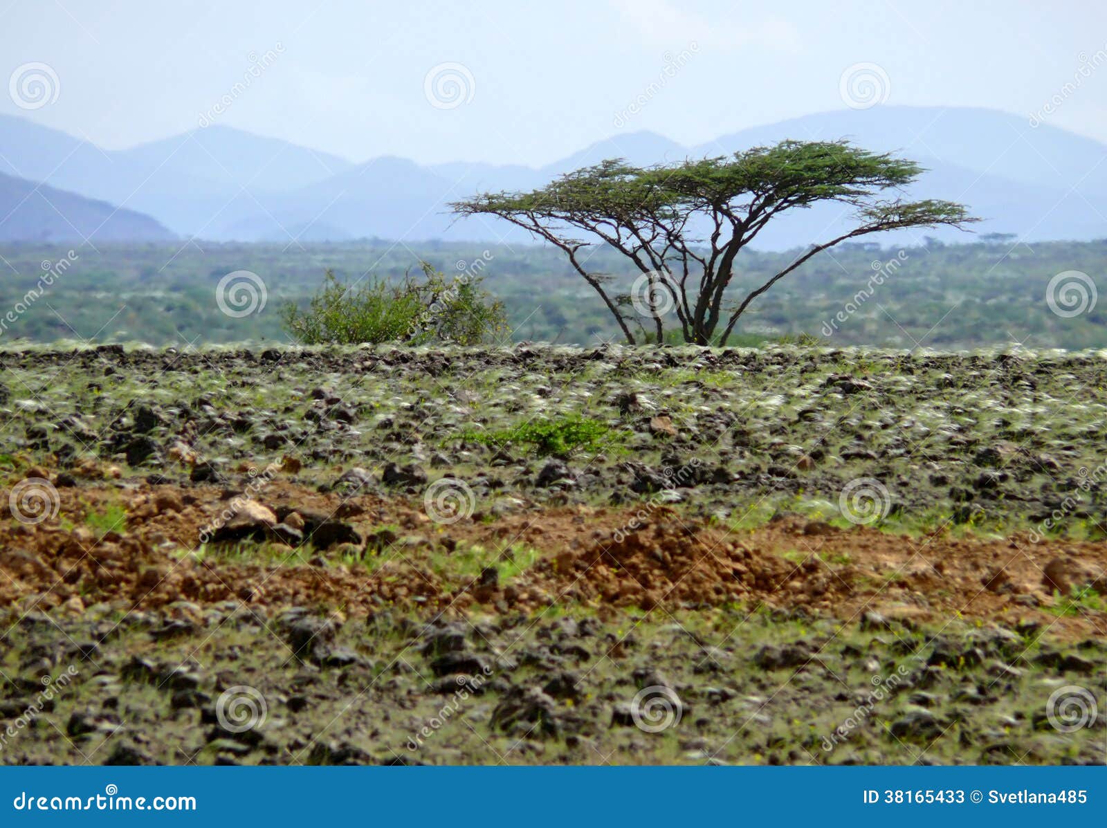 Landscape Nature. Mountains in the Distance Stock Image - Image of ...