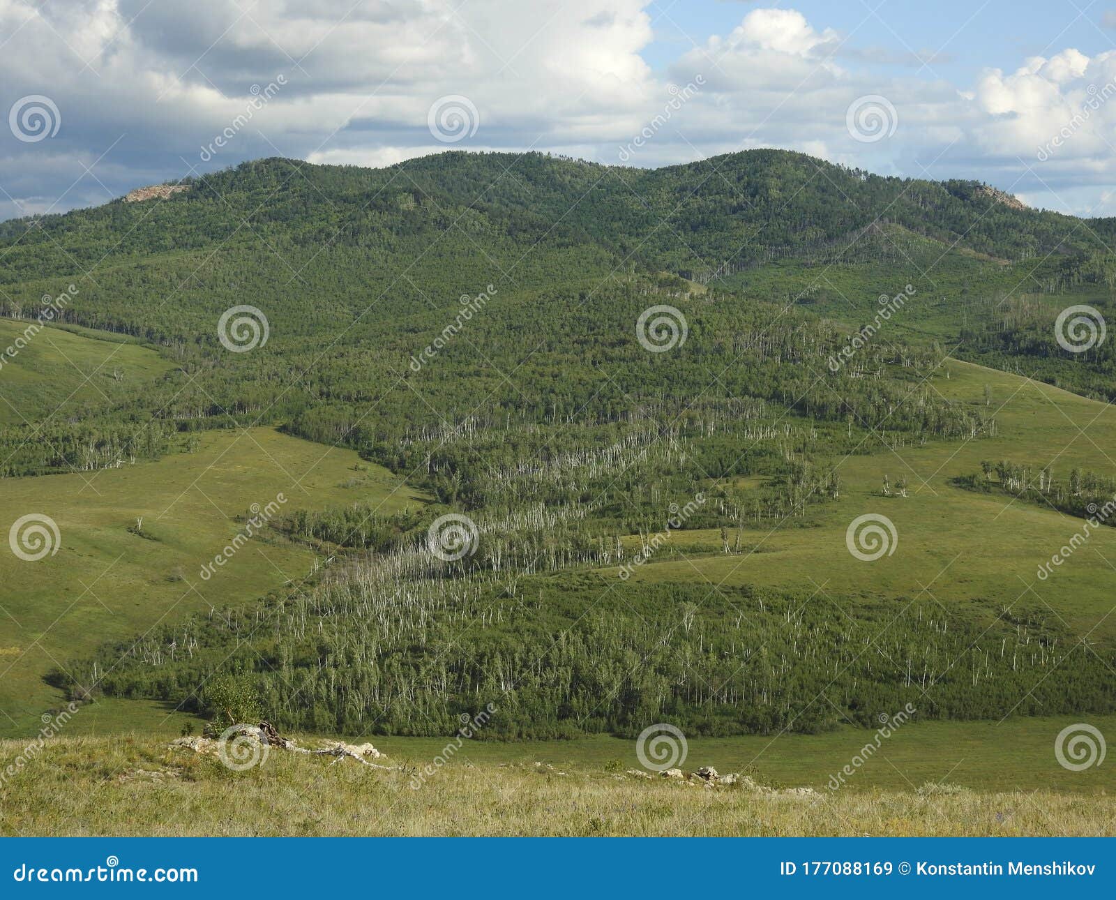 Valley of Onon River in the Lower Reaches. Stock Image - Image of ...