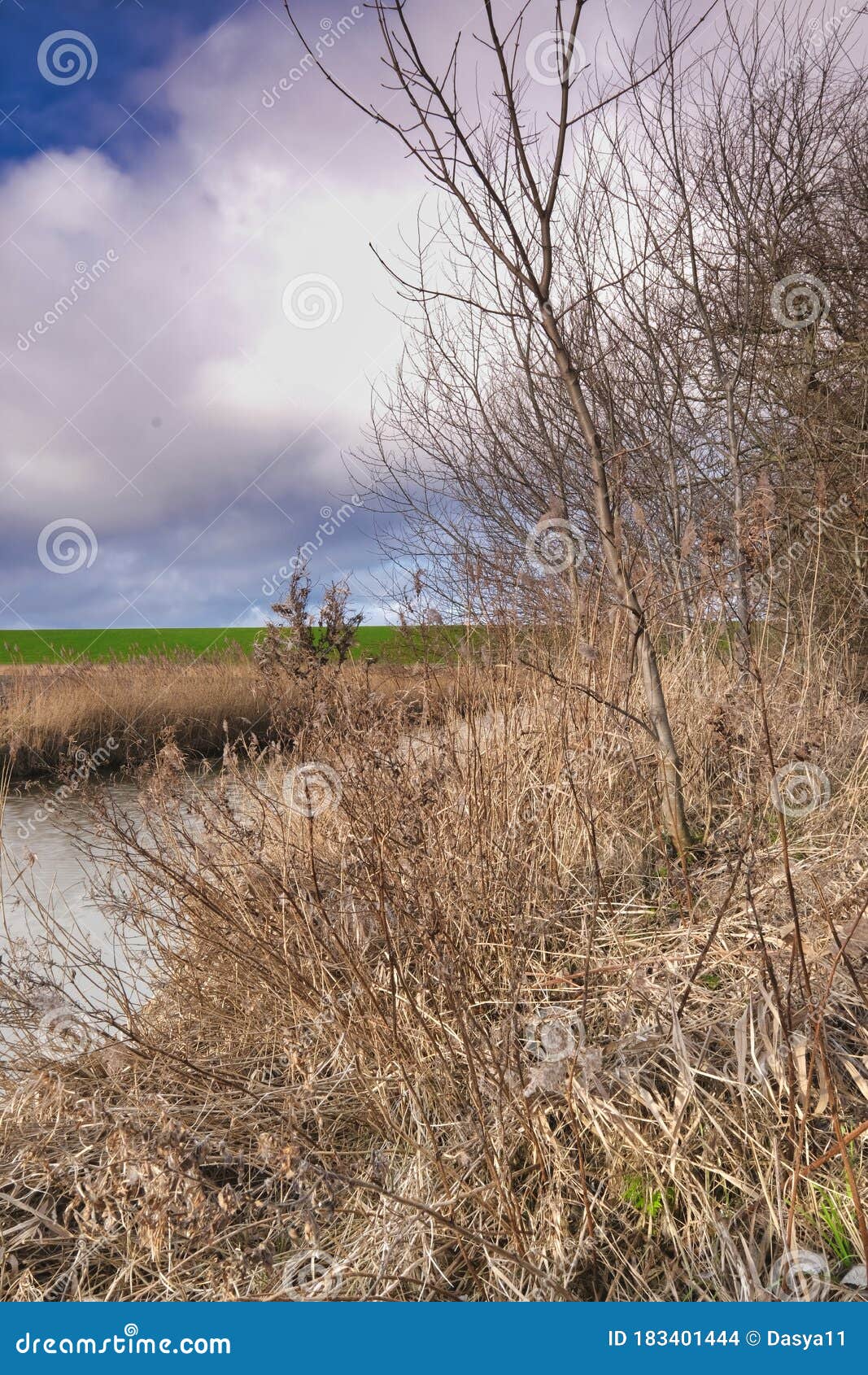 Landscape in the Netherlands with a River, Grasses and a Dramatic Sky ...