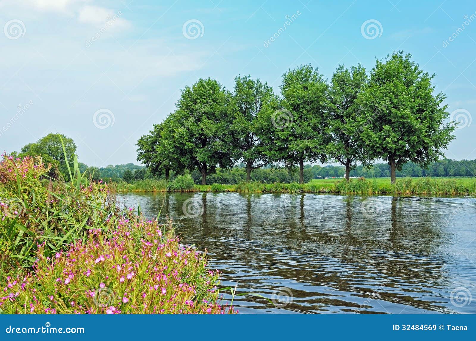 Landscape in Netherlands stock image. Image of ecological - 32484569