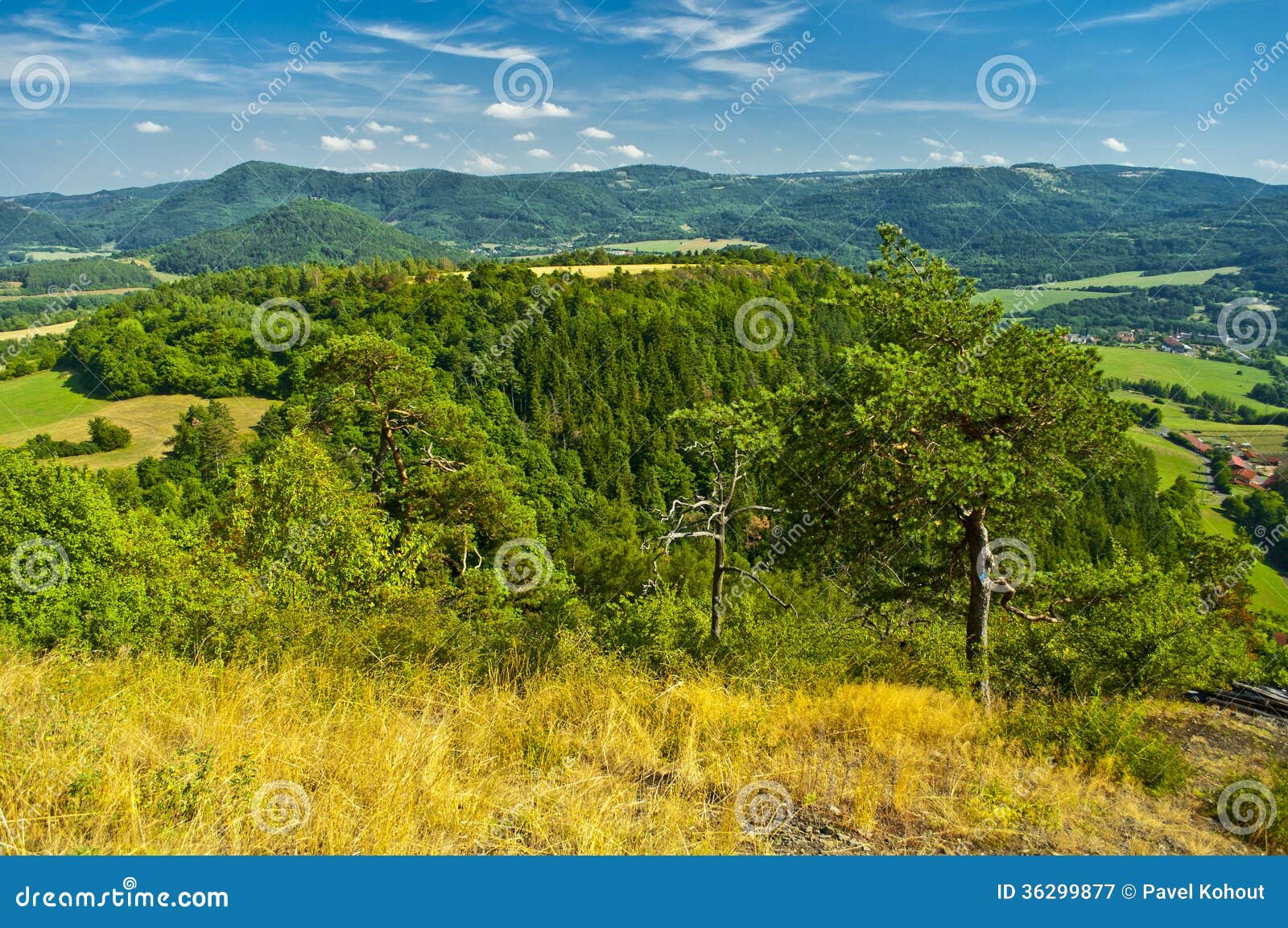 Landscape Royalty-Free Stock Photo | CartoonDealer.com #36299877