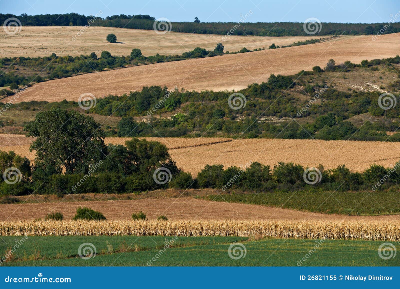 Landscape from North Bulgaria Stock Image - Image of landscape, summer ...