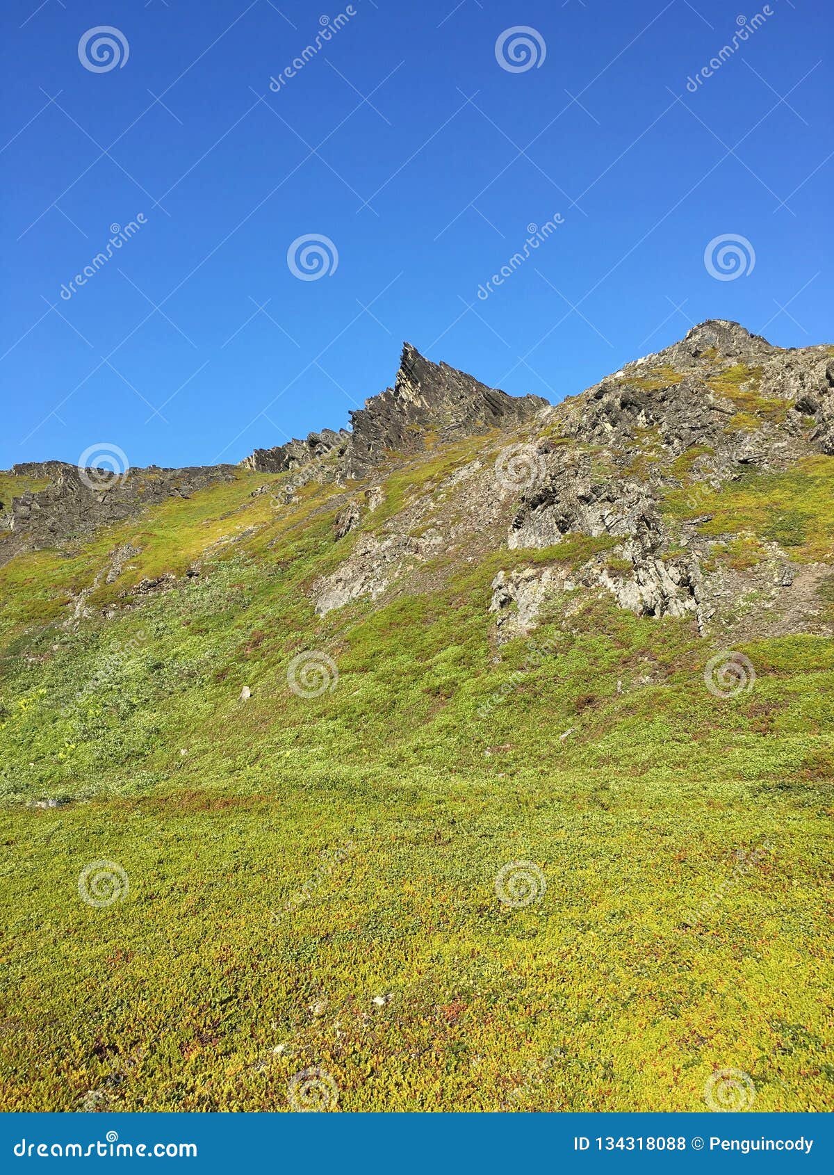 Rocks in tundra stock photo. Image of nature, tundra - 134318088