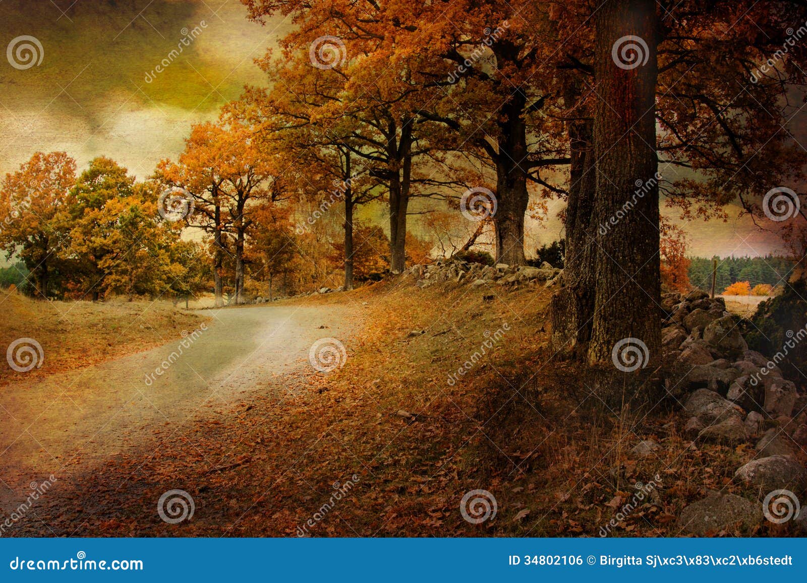 Landscape in October. stock photo. Image of tree, paint - 34802106