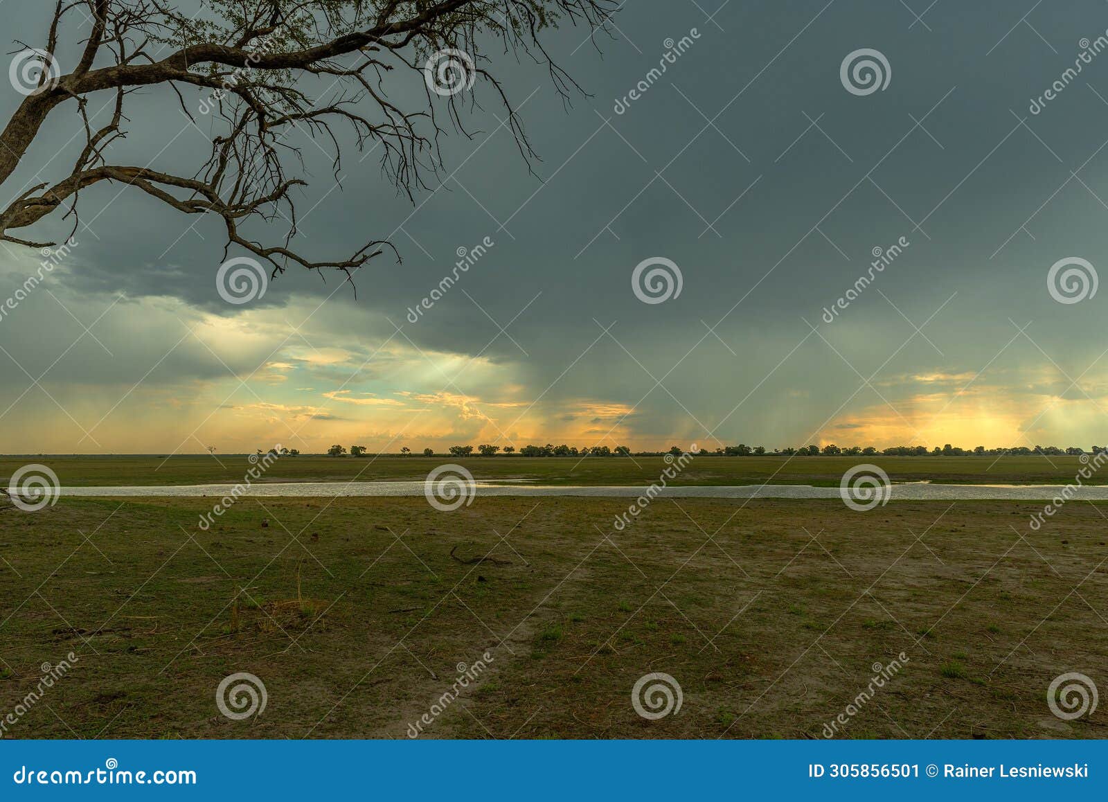 Landscape on the Okavango River in the East of Rundu, Namibia Stock ...