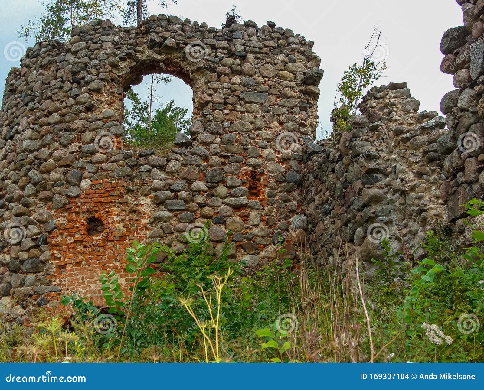 Old Castle Tower Ruins, Tree Branches and Grass in the Foreground Stock ...