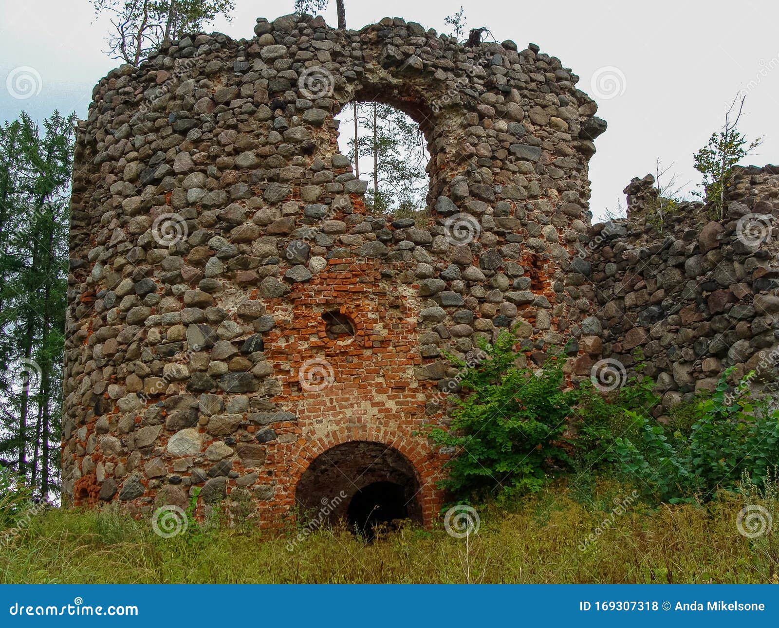 Old Castle Tower Ruins, Tree Branches and Grass in the Foreground Stock ...