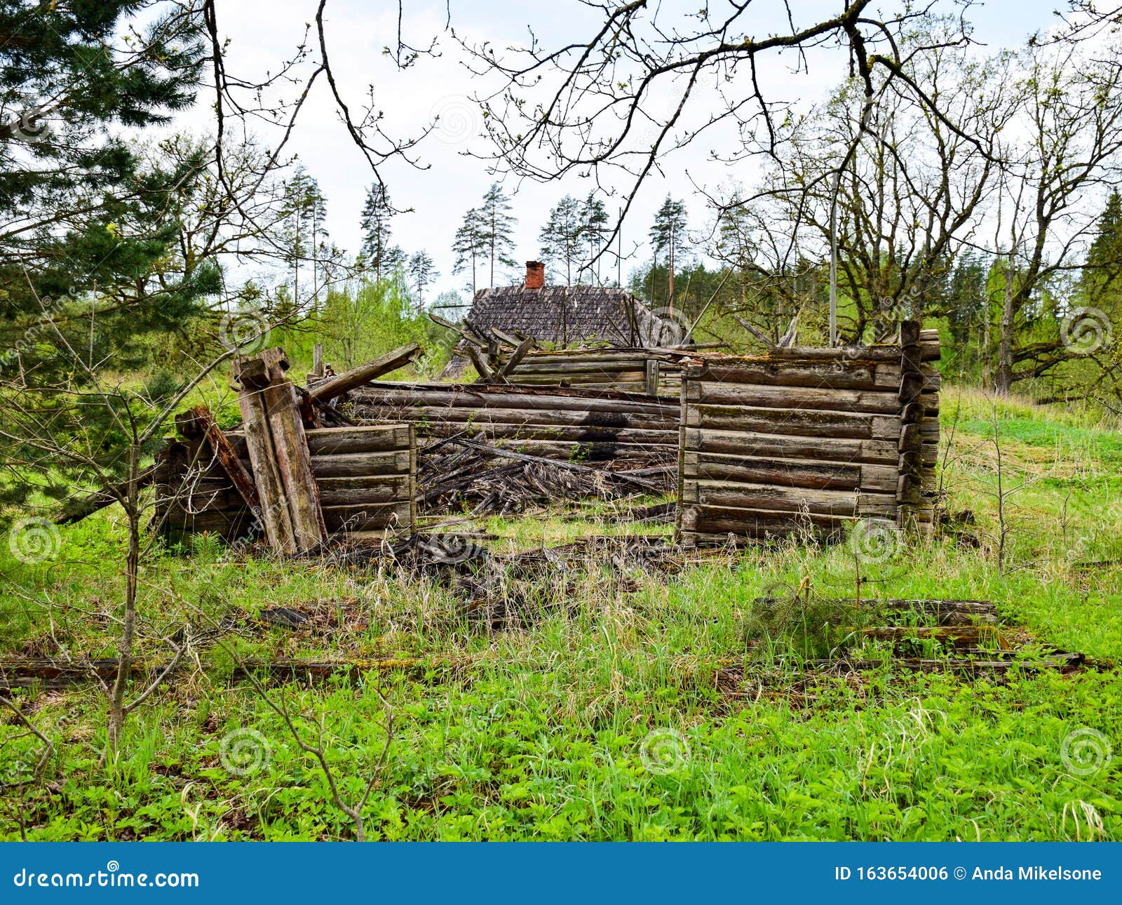 Old and Collapsed Country House, Collapsed Wall and Old Wooden Logs ... Old and Collapsed Country House, Collapsed Wall and Old Wooden Logs ...