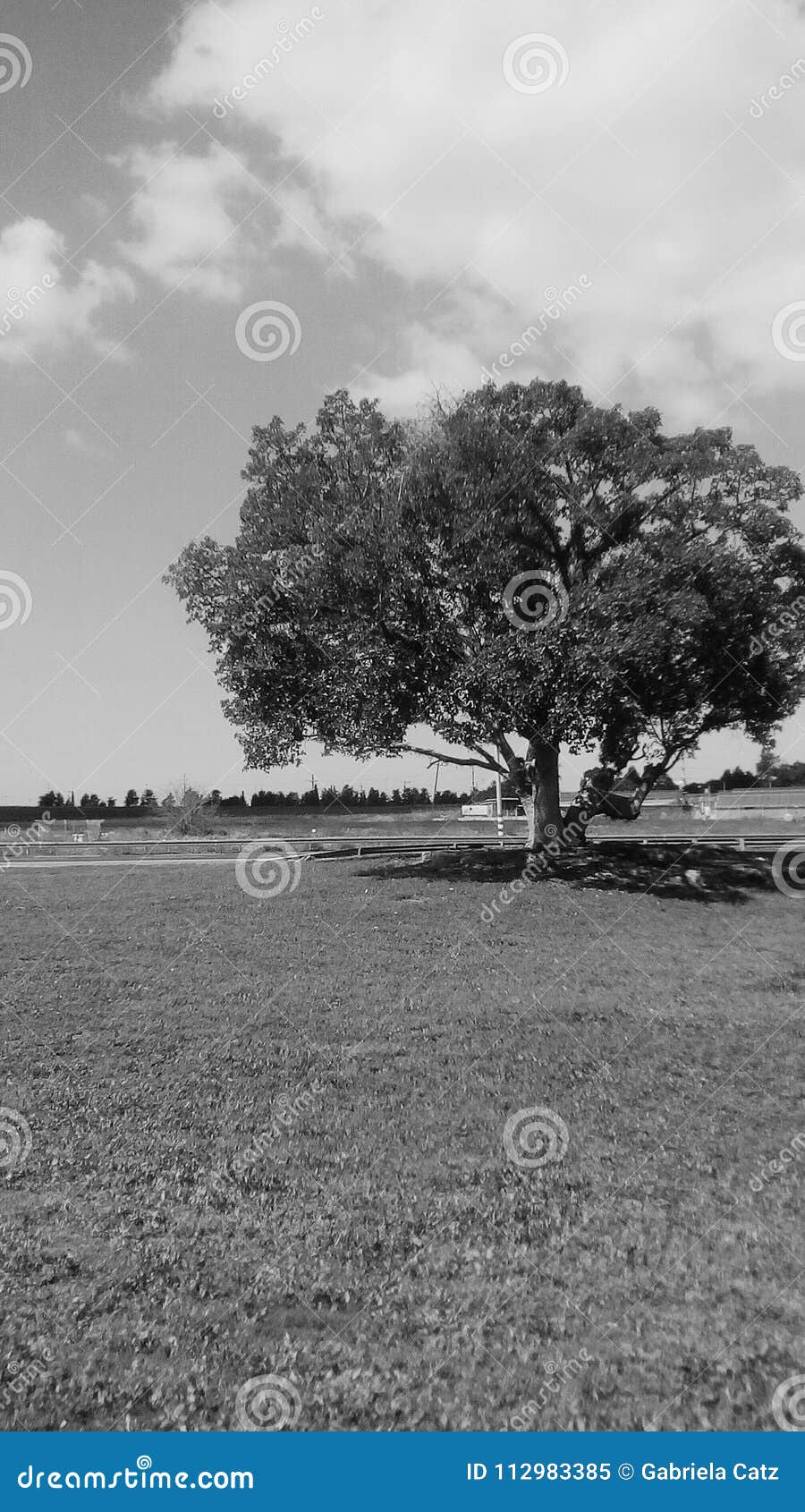 Landscape stock image. Image of landscape, beitdagan - 112983385