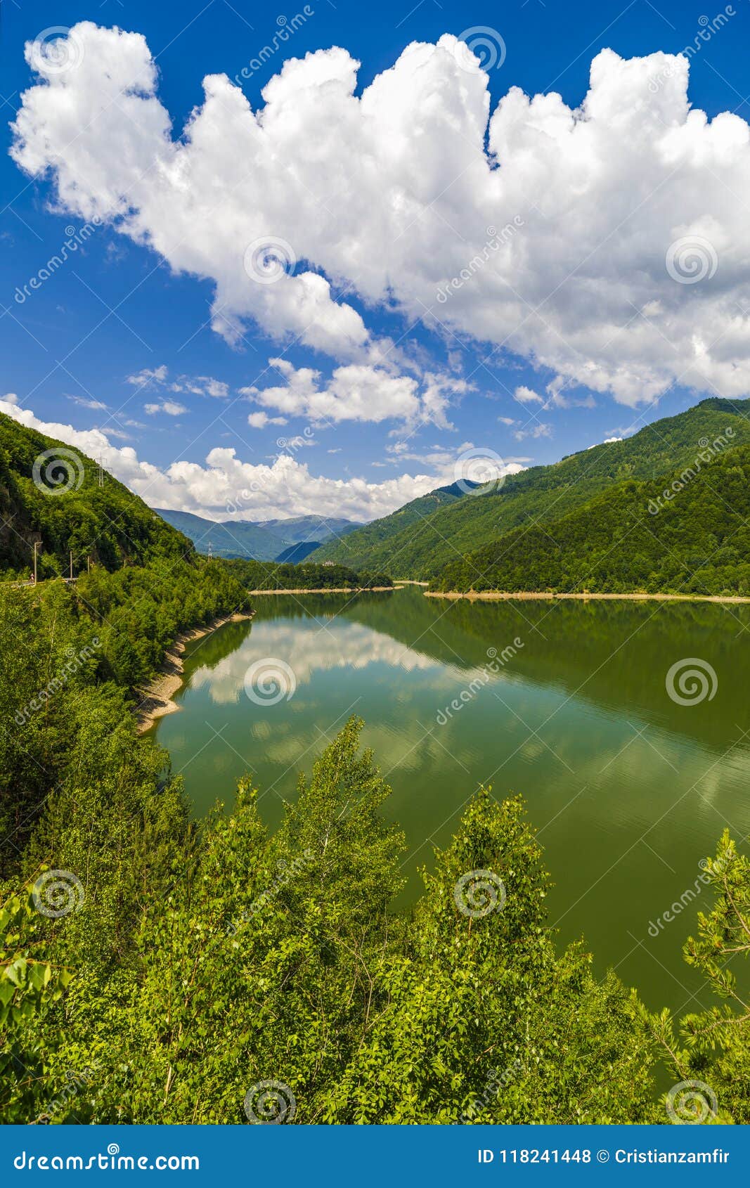 Landscape with Olt River in Romania Surrounded by Forest and Mountains ...
