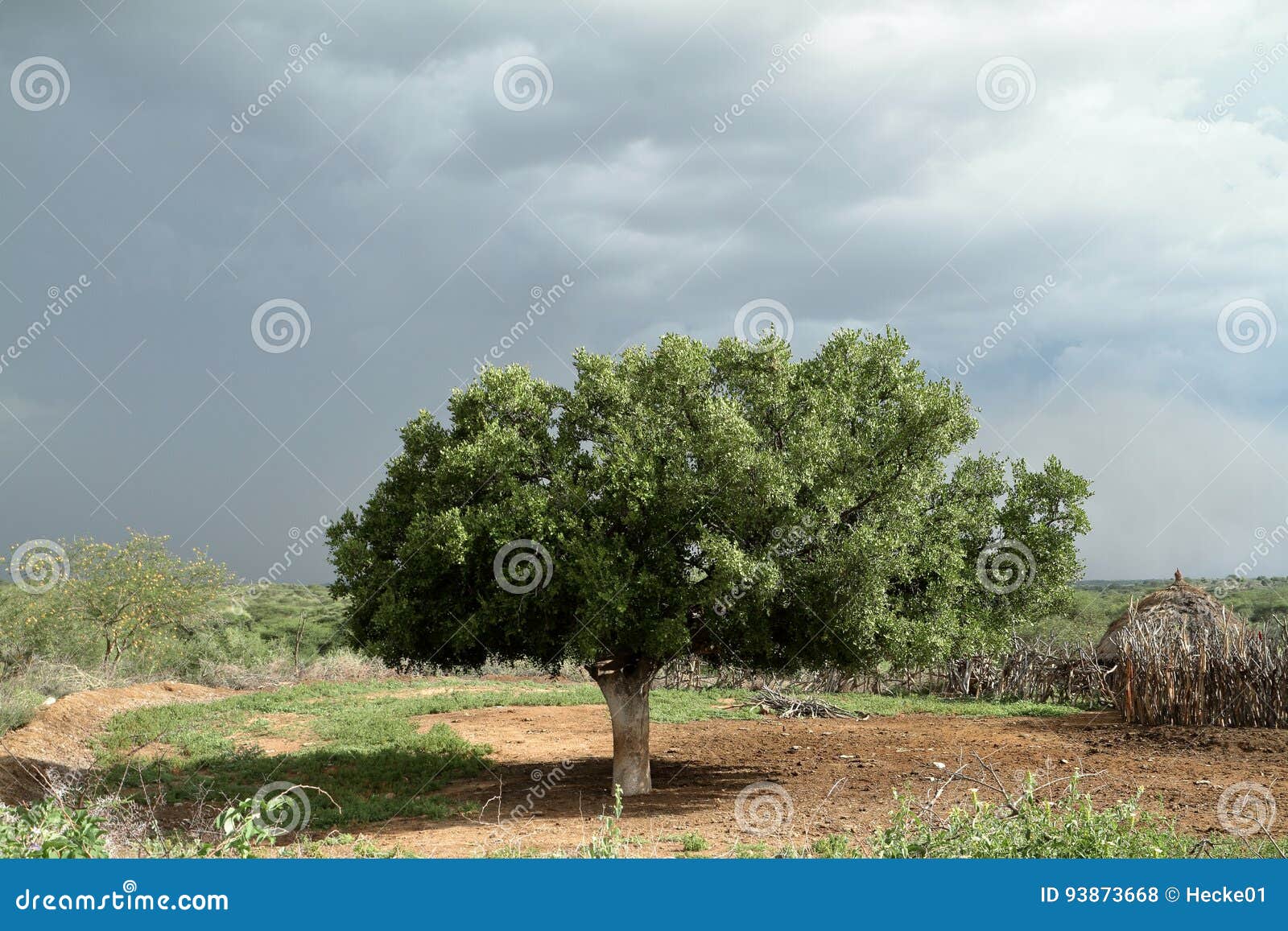 Landscape of Omo Valley in Ethiopia Stock Photo - Image of savannah ...