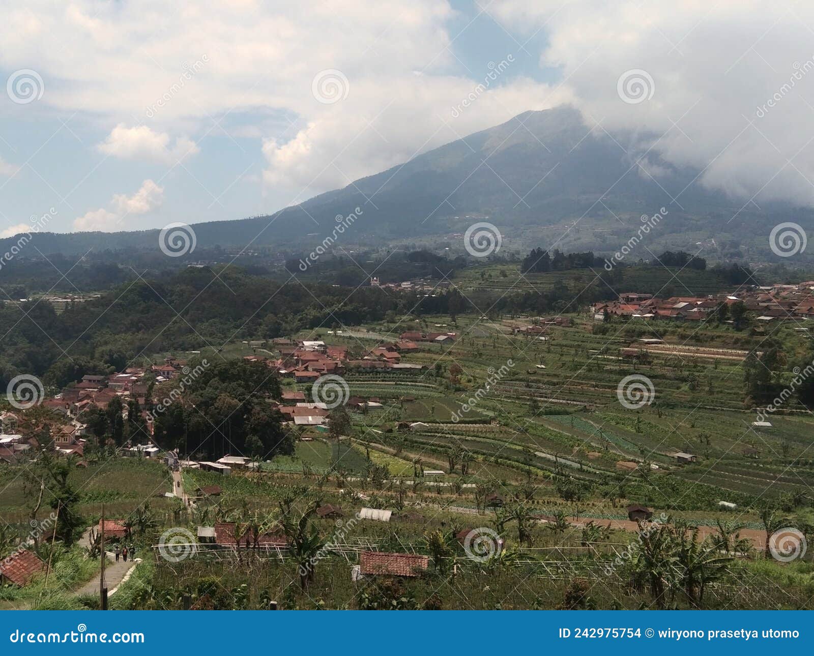 A Landscape in One of the Areas of Central Java Showing Agricultural ...