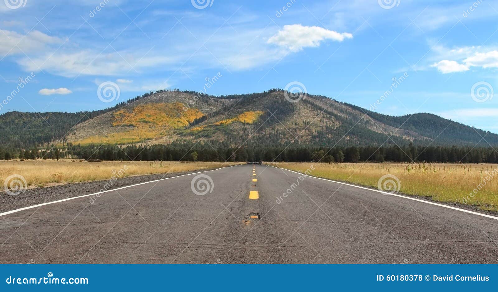 Landscape of Open Country Road in Autumn Stock Photo - Image of ...