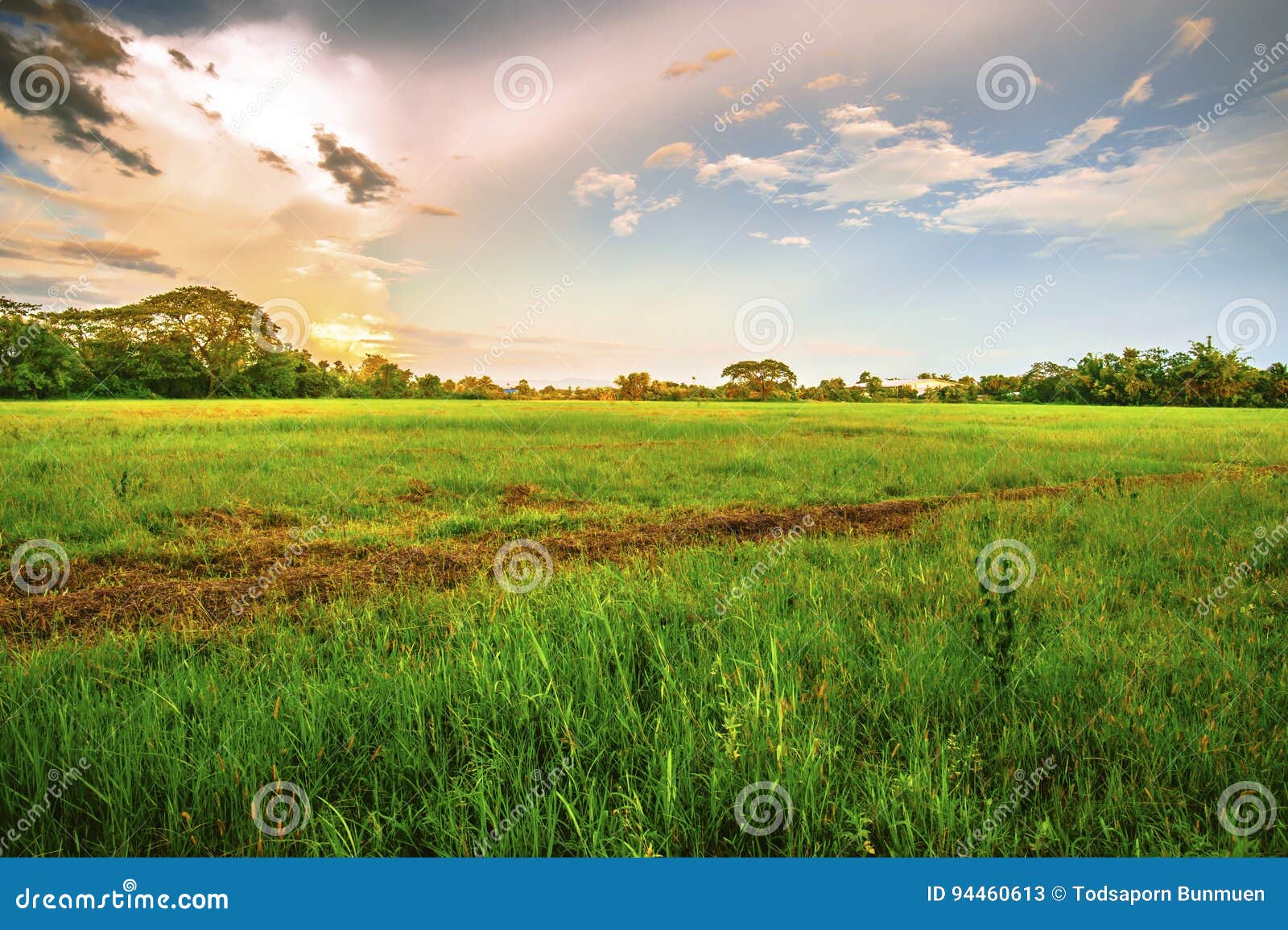 Landscape of Open Field in Evening Time Stock Image - Image of sunrise ...