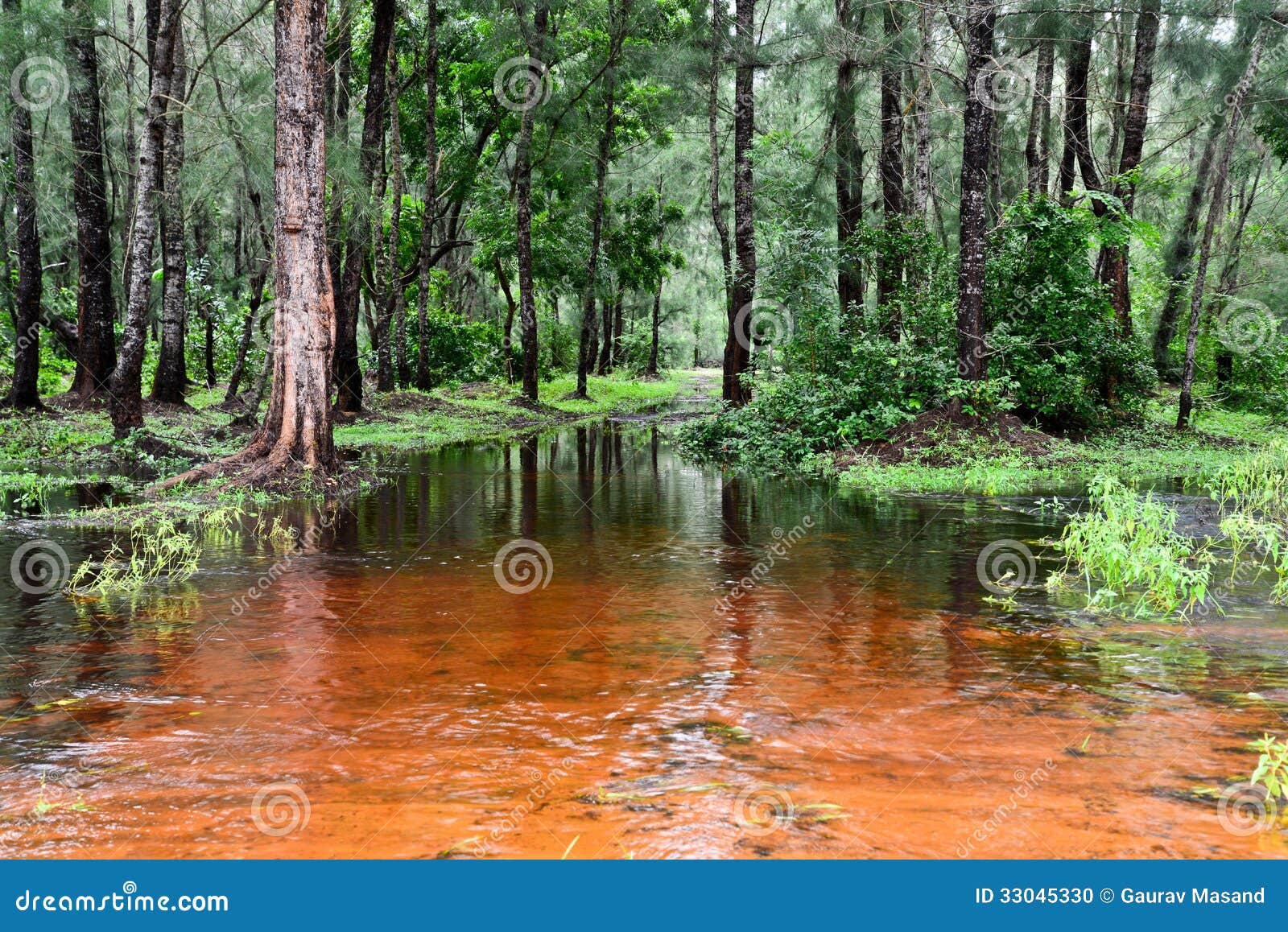 Landscape in Orissa stock photo. Image of orissa, outdoor - 33045330