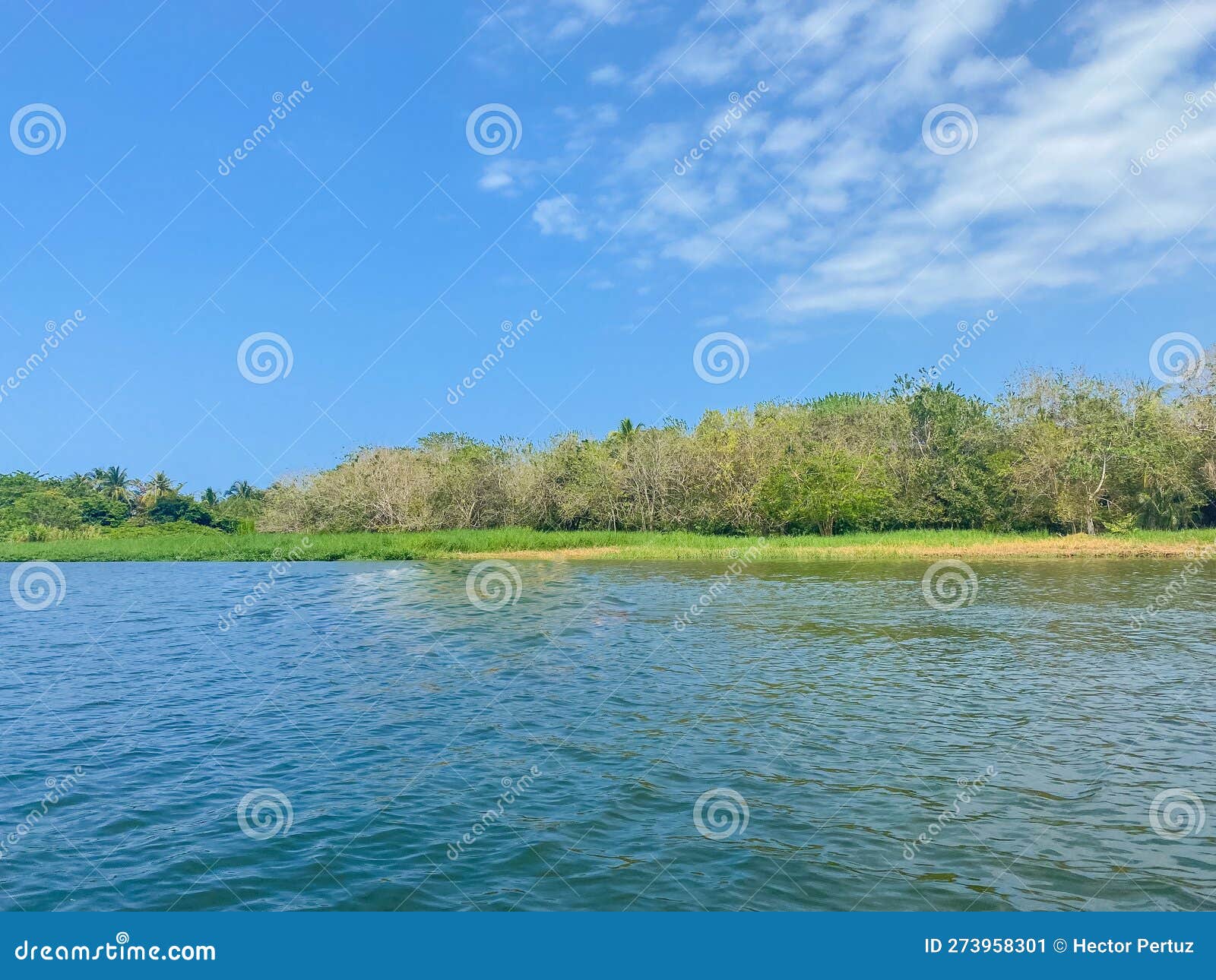 Landscape Overlooking the River in Santa Marta, Colombia Stock Image ...